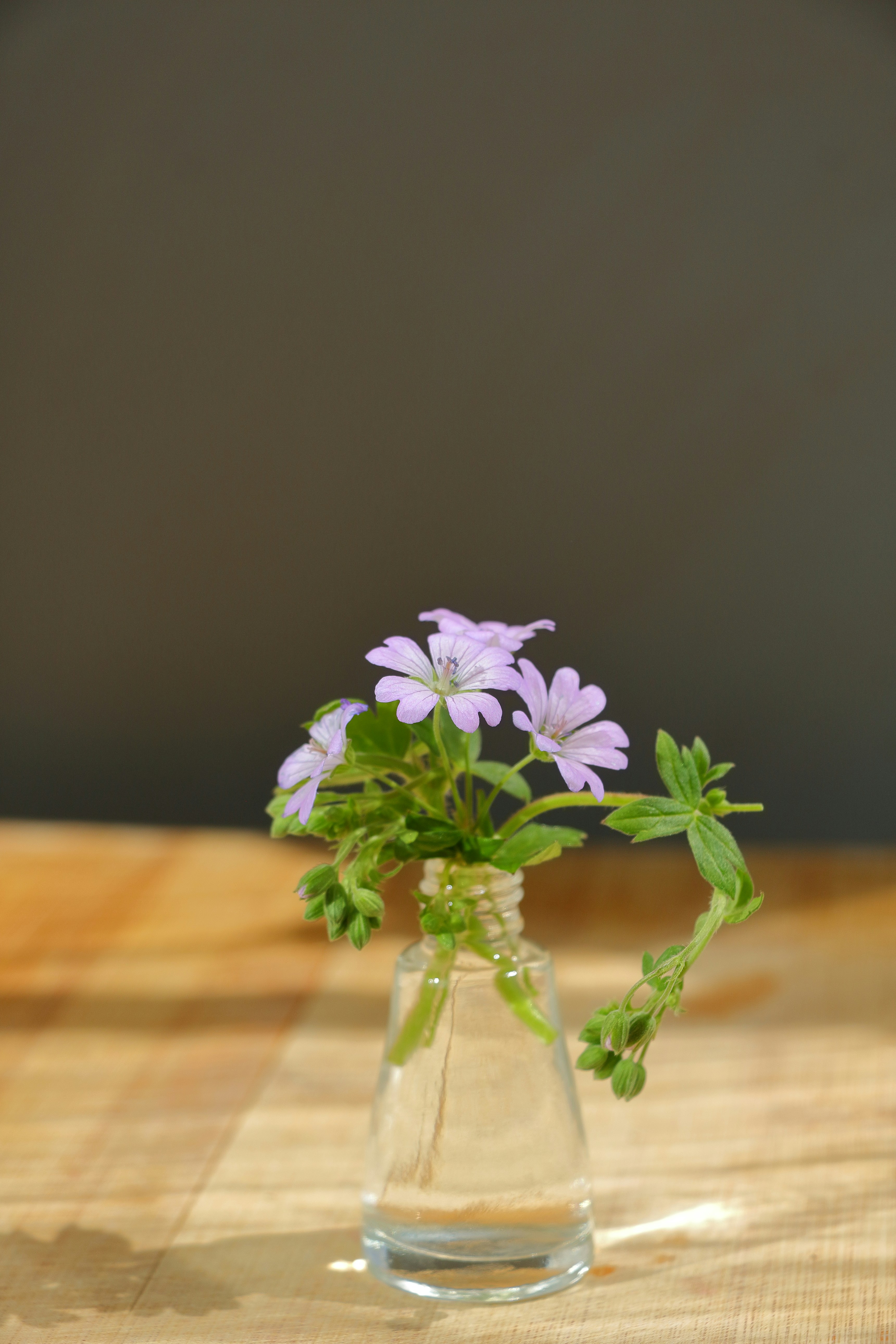 Purple Blooms in a Glass Vase: Simple Still Life on a Wooden Table