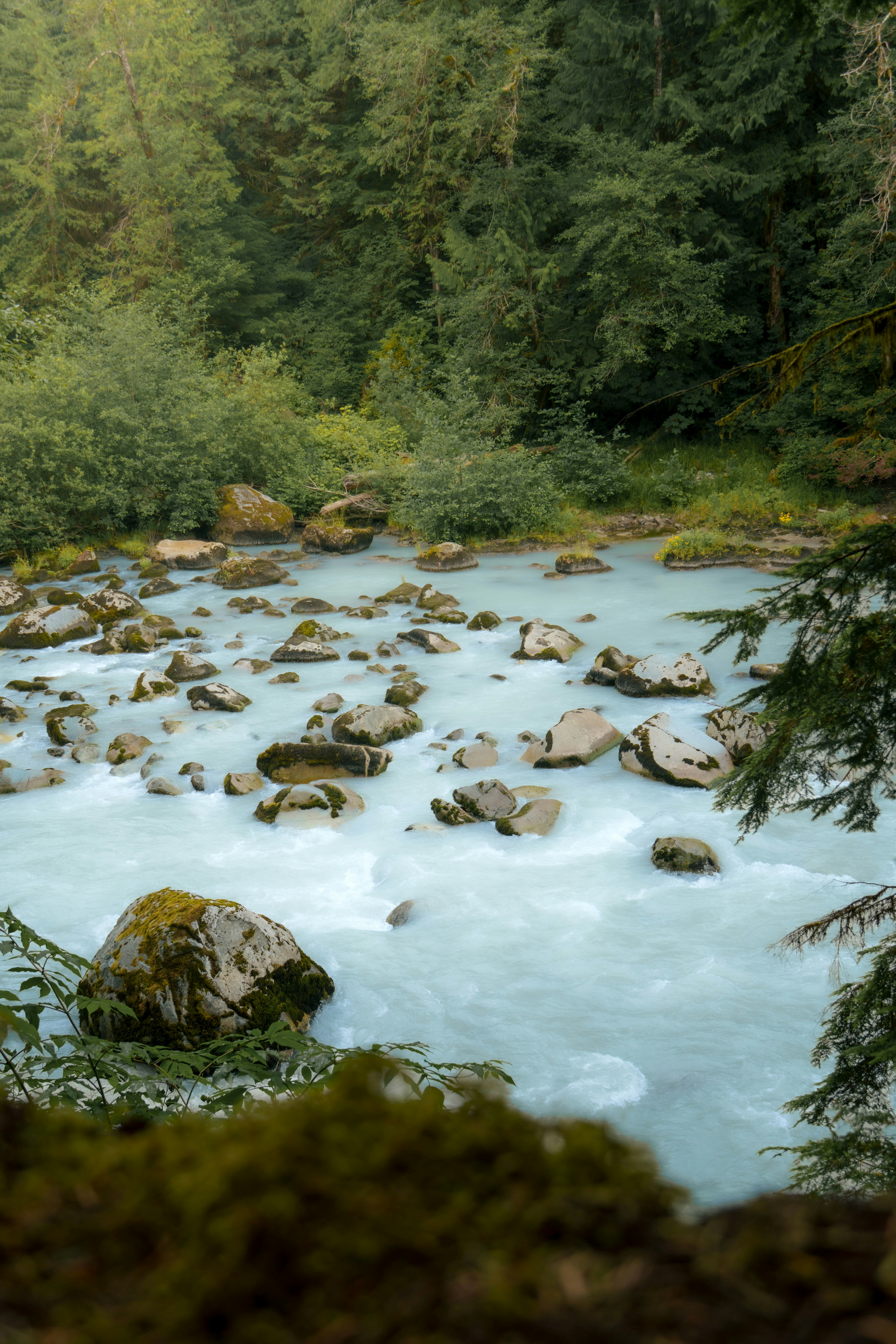 Turquoise Cascade: Stones and Mist Beneath Evergreen Veil
