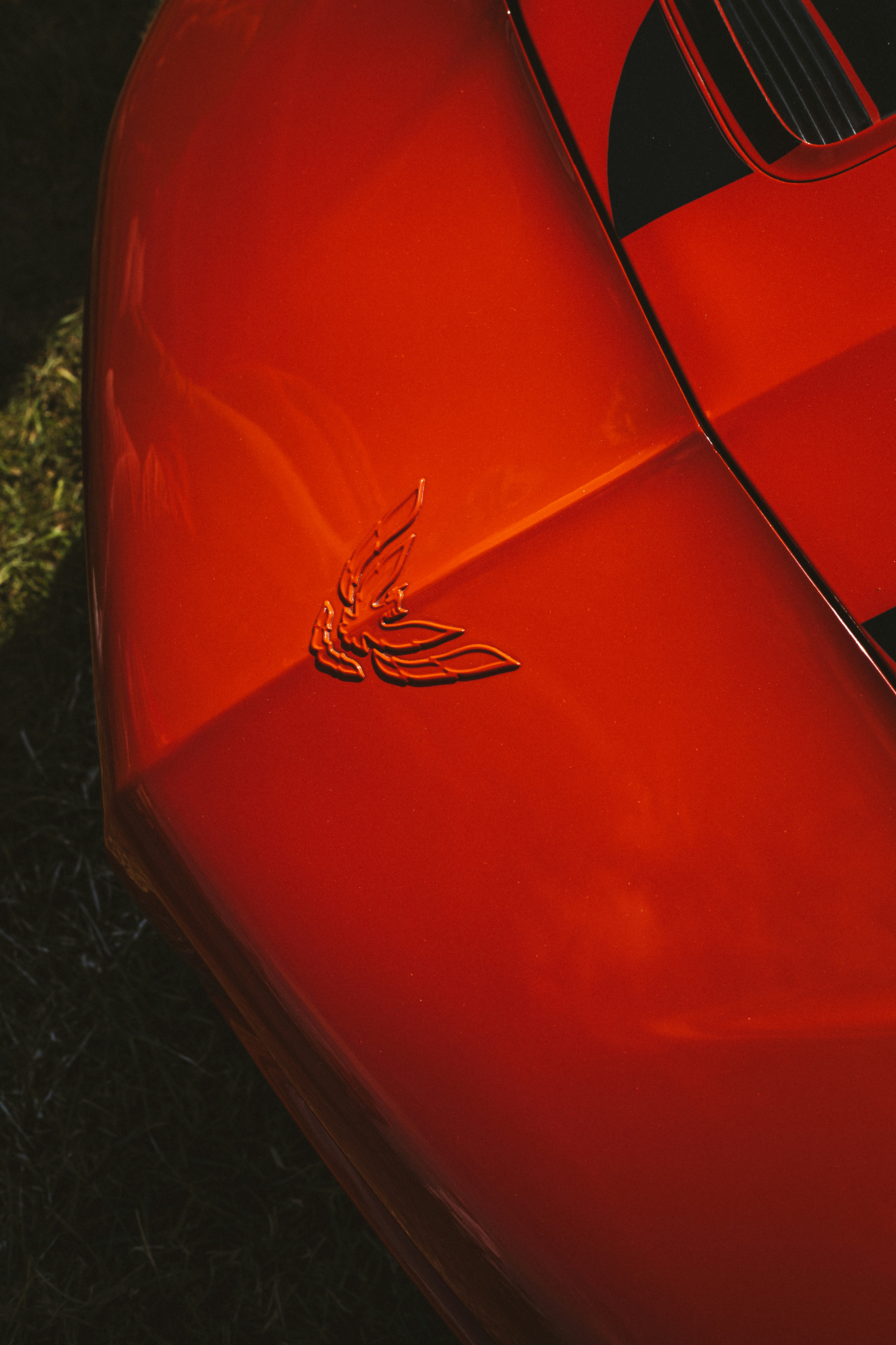 Red Venom: Curves and Crest on a Sports Car's Flank