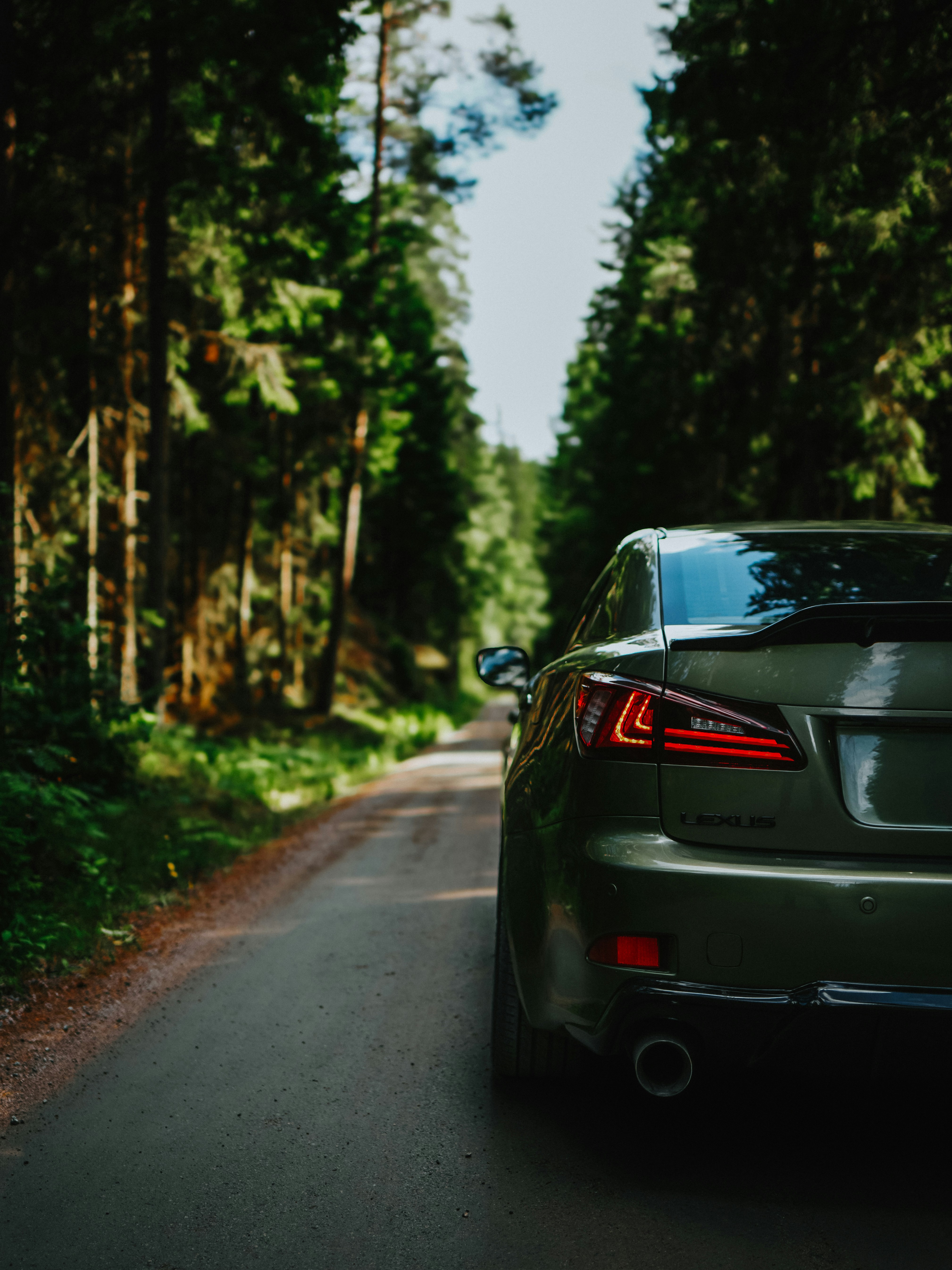 Rear-Quarter Precision: A Suave Drive Down a Sunlit Forest Lane