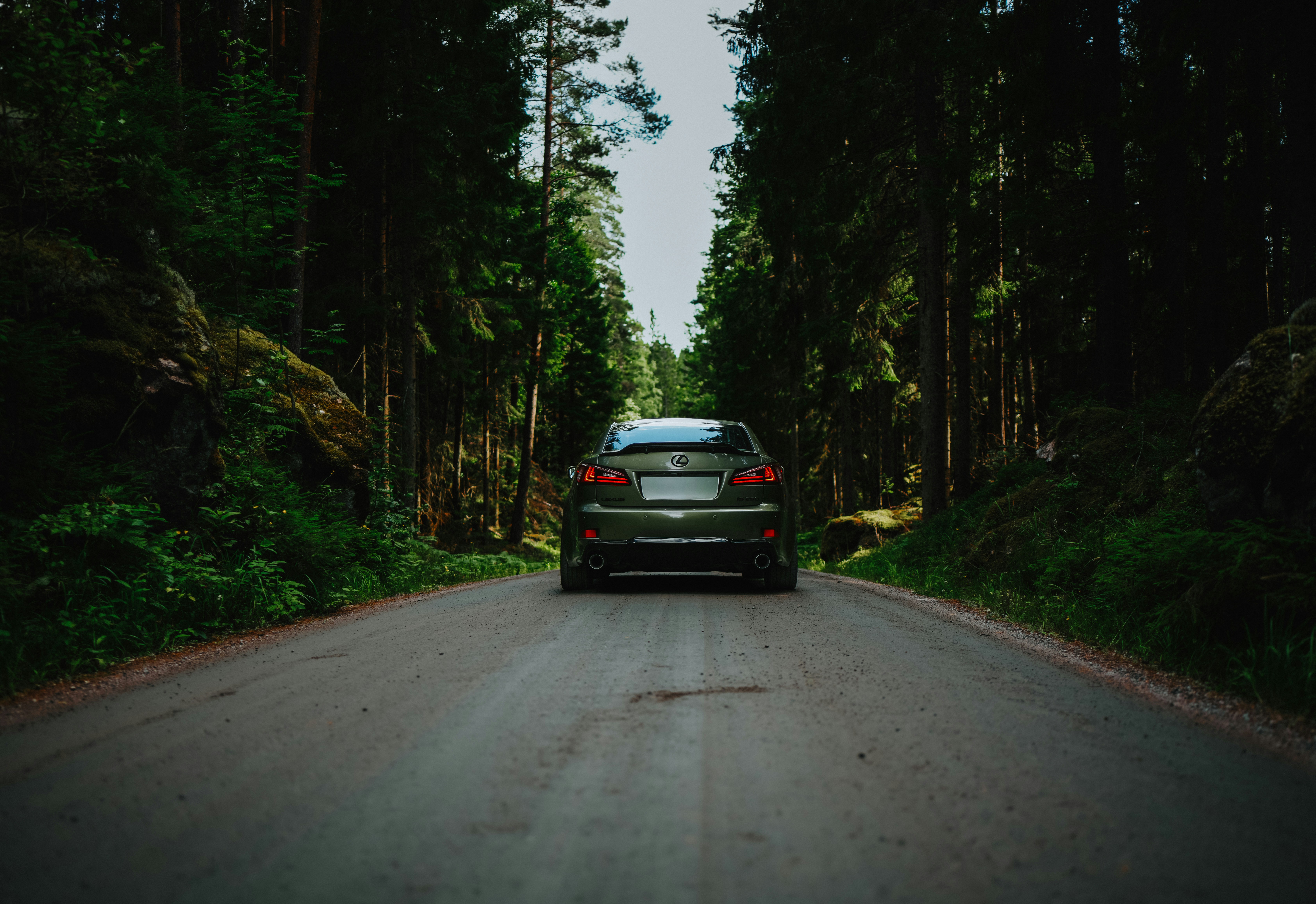Car on a Quiet Forest Road: Centered in a Tunnel of Pines