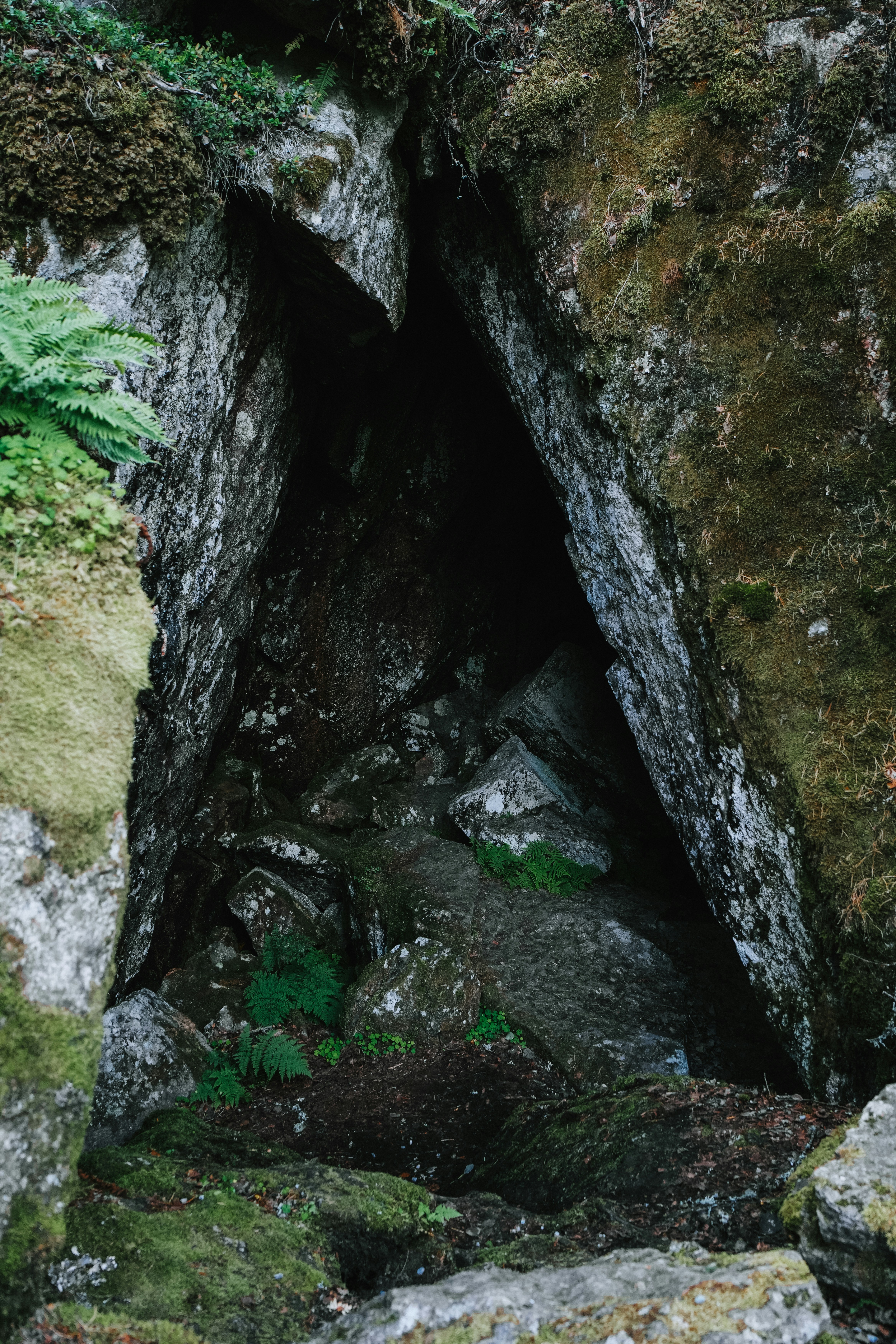 Shadowed Entrance: Moss-Covered Cave Gap