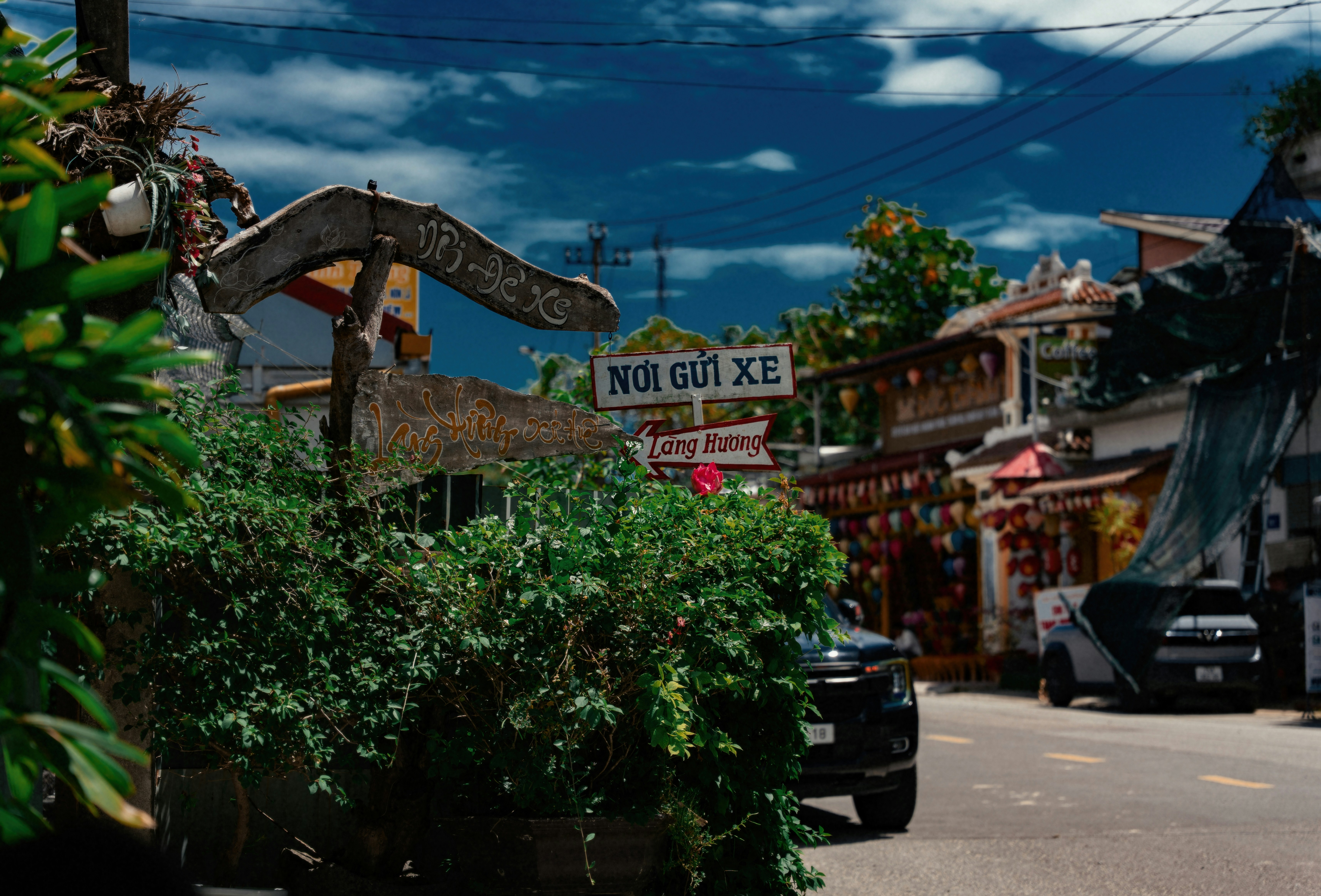 Tangled Signage and Lush Corner in a Sunny Street