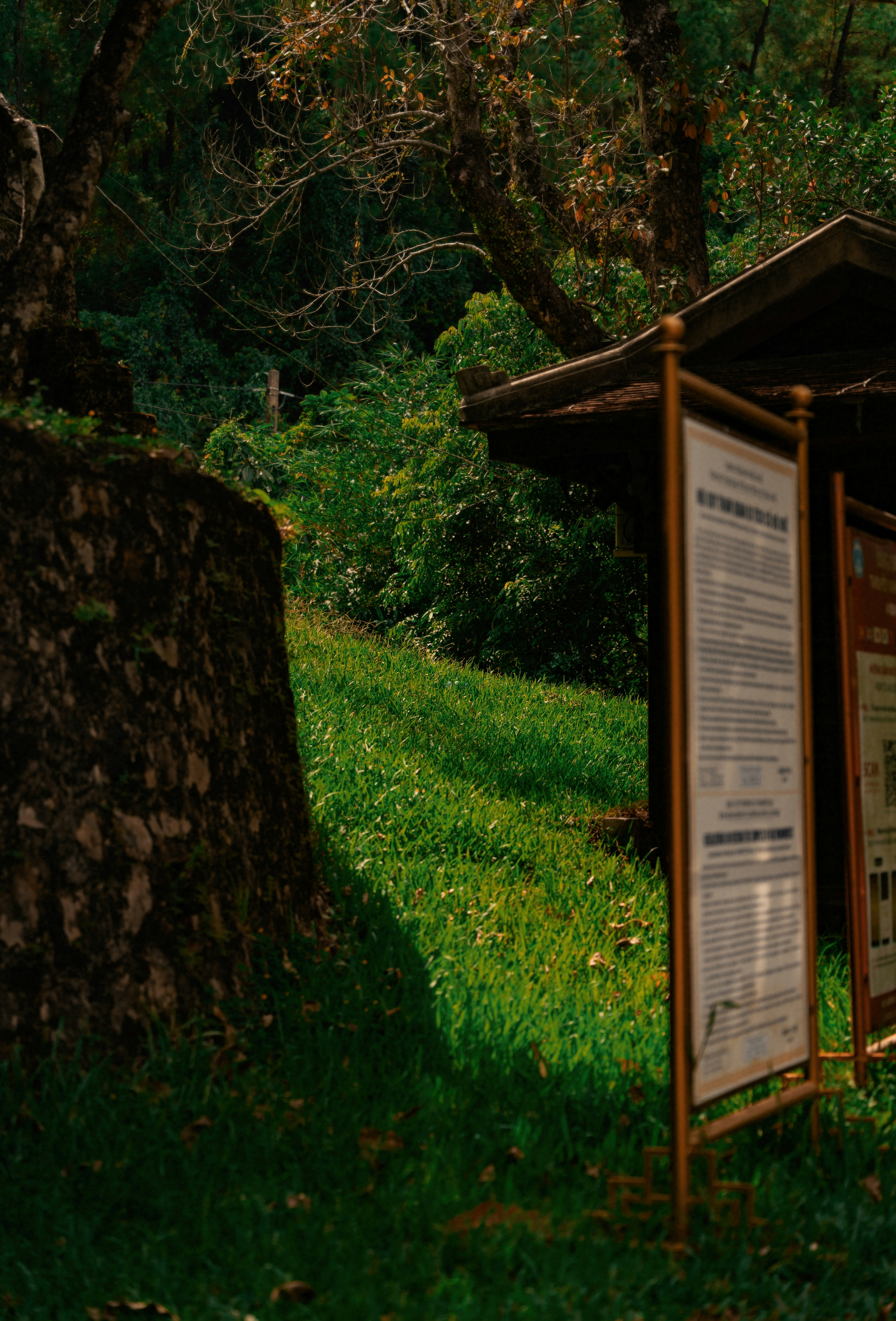 Nestled Information: A Quiet Signboard in a Sunlit Park