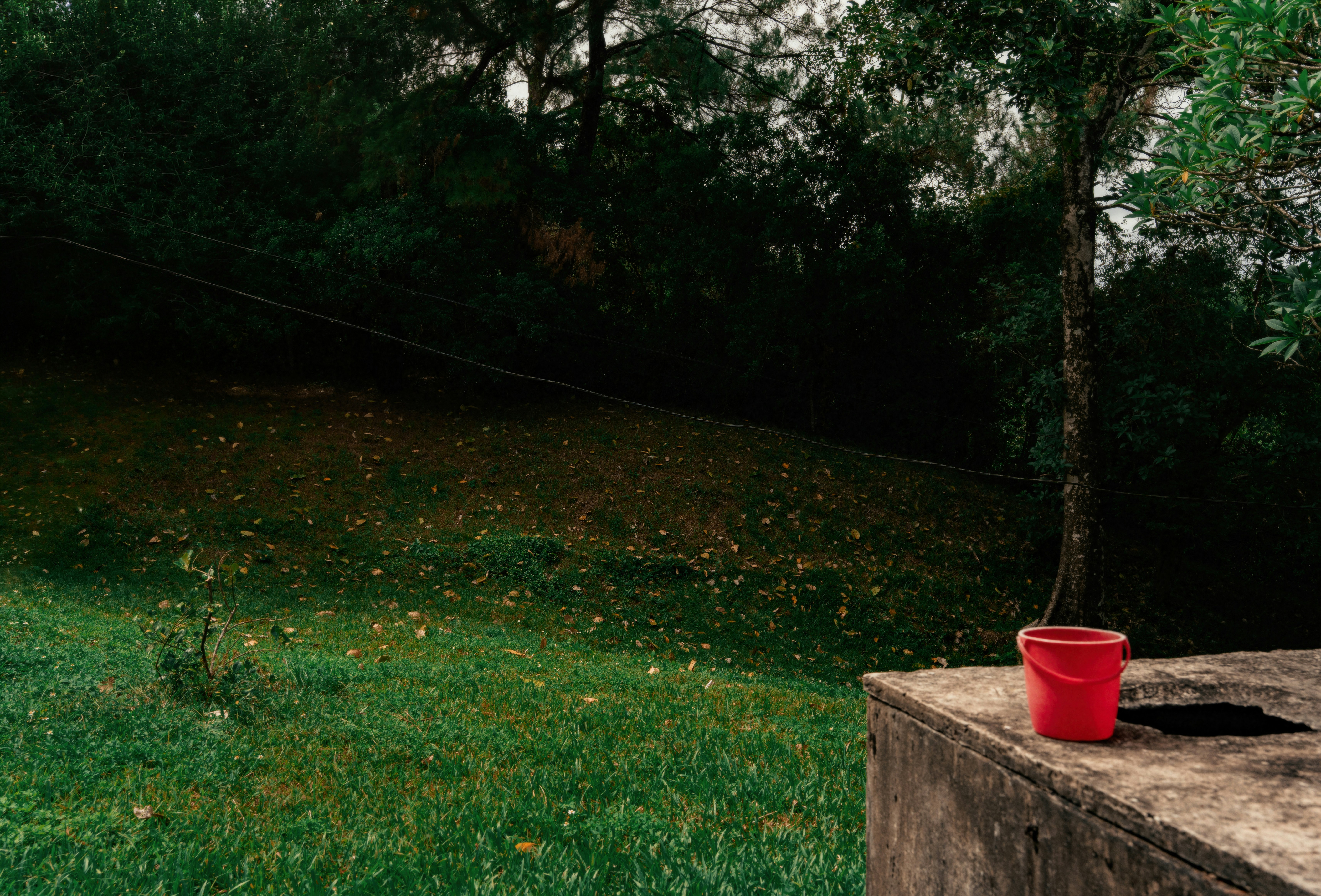Red Bucket on Weathered Concrete Overlook
