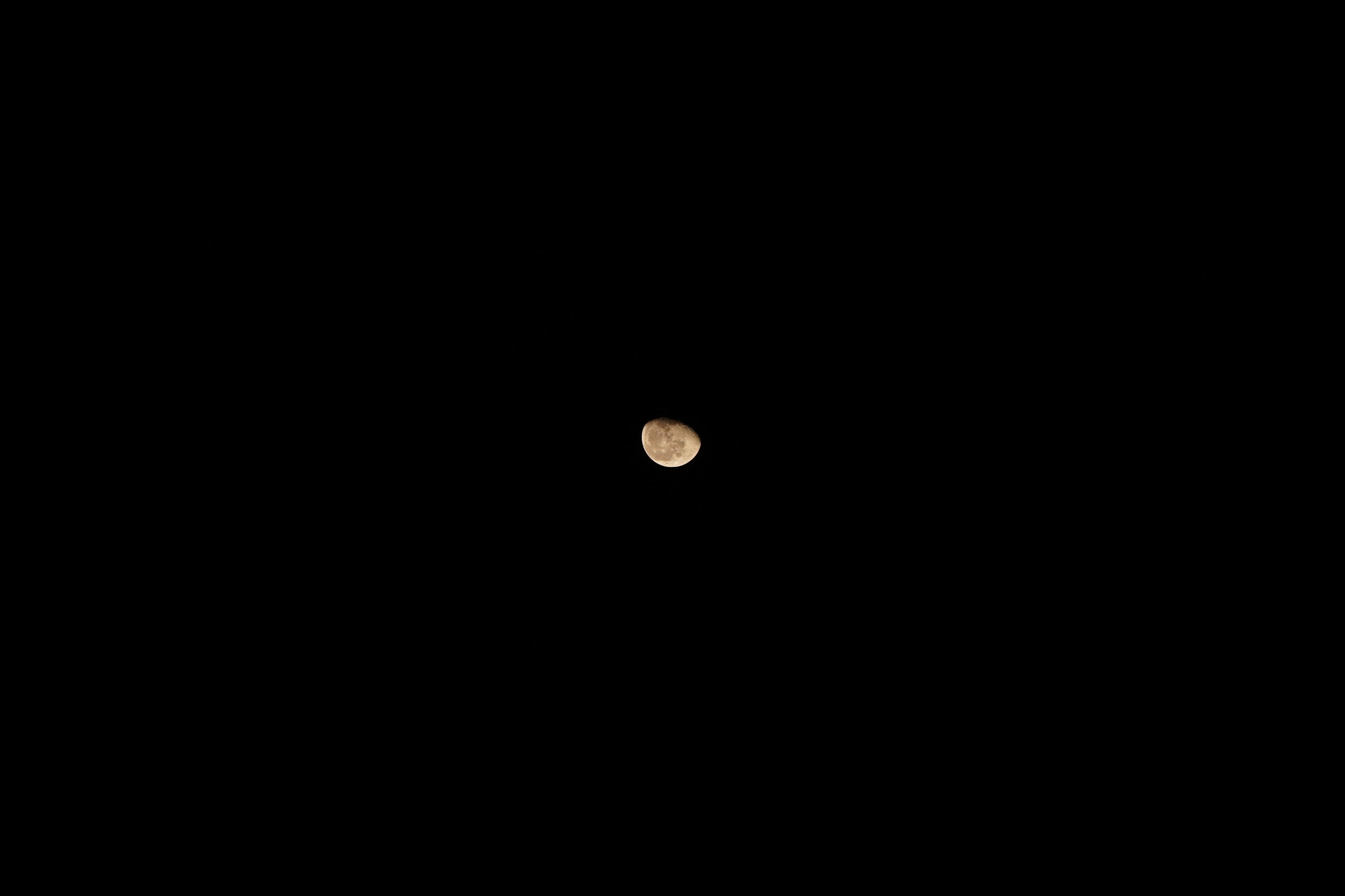 Lone Moon: A Quiet Pale Disk in a Void