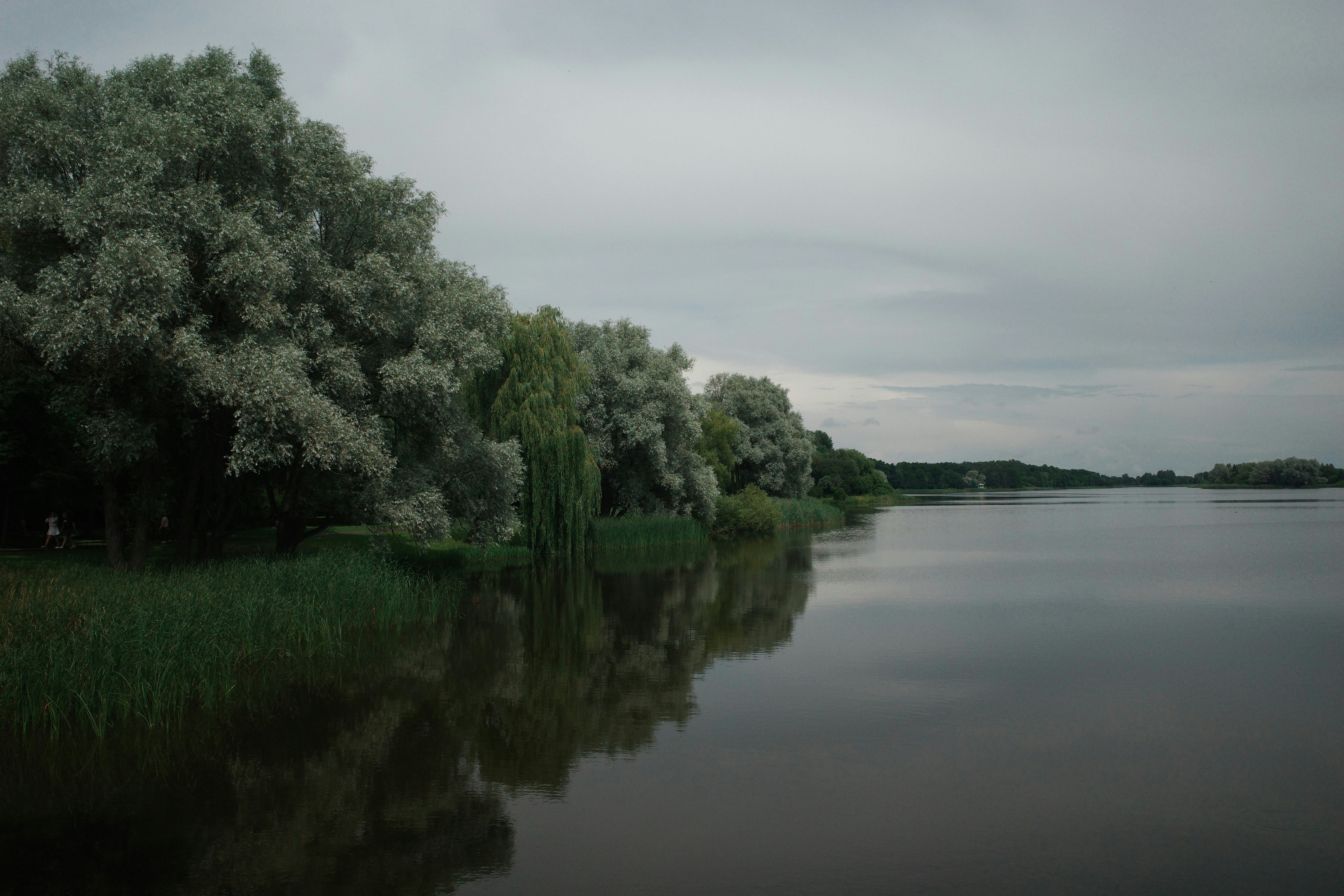 Reflective Riverbank under Soft Evening Light