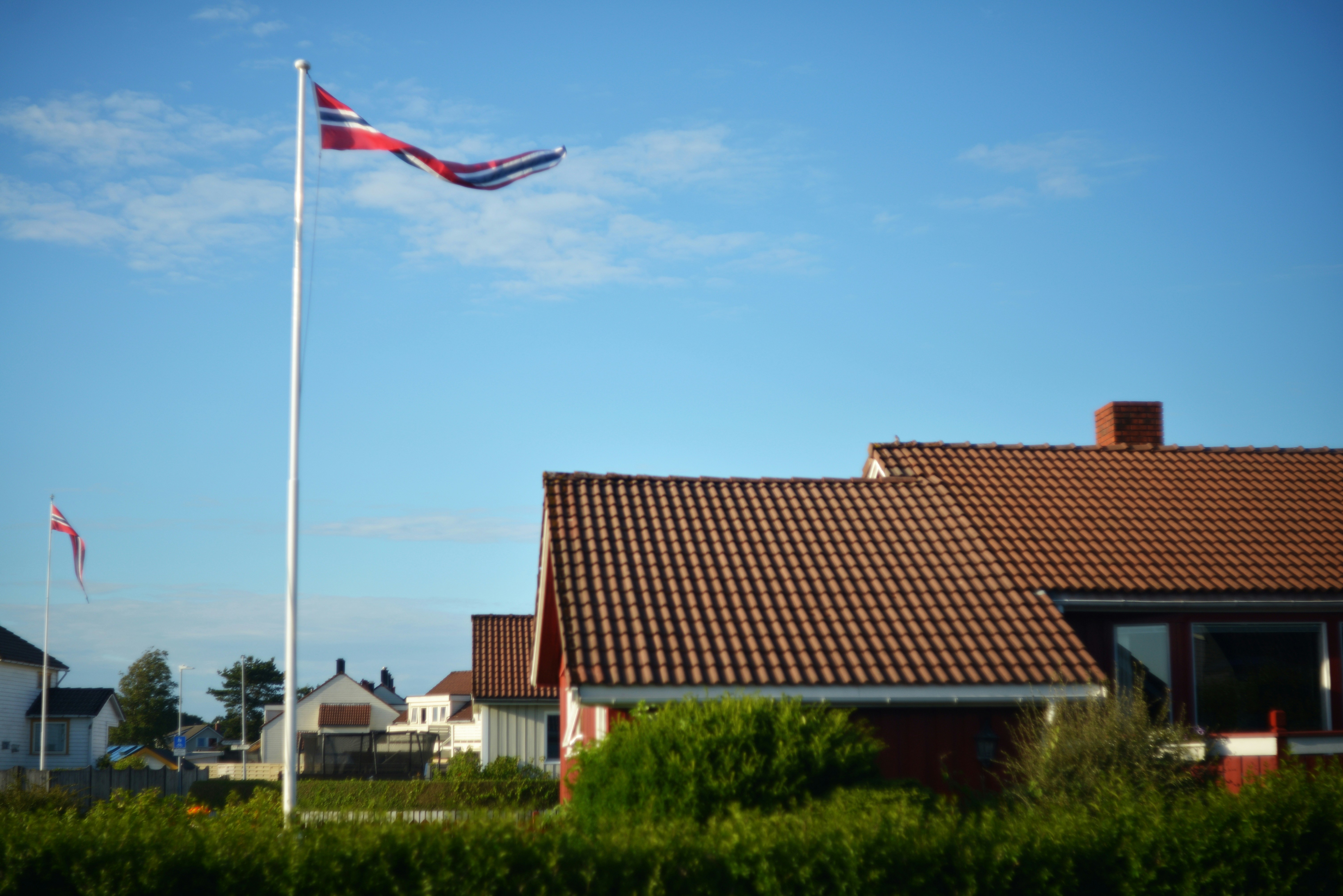 Flagpole Pulse: A Quiet Coastal Suburb under a Clear Sky