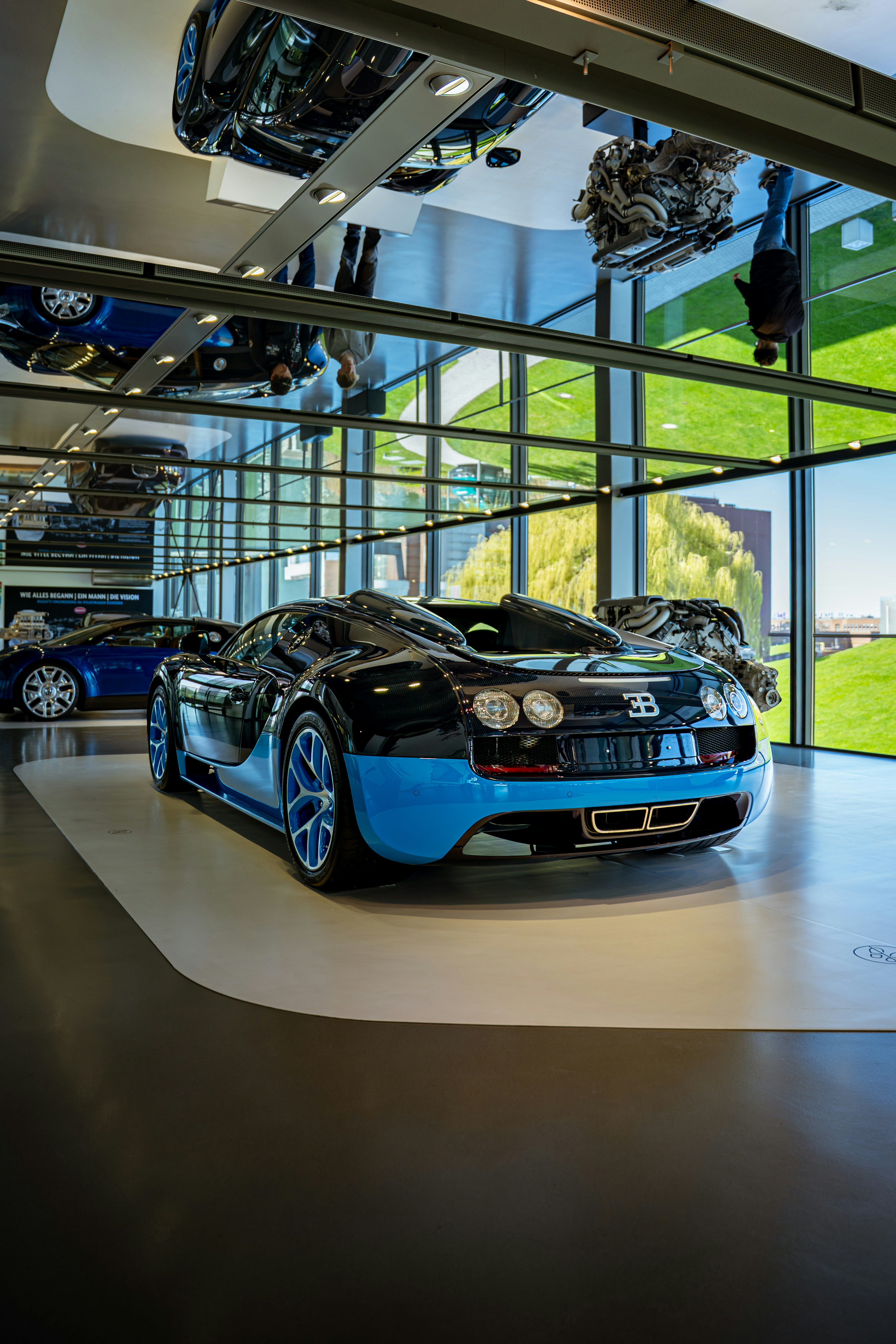 Blue-Bordered Bugatti in a Glass Studio