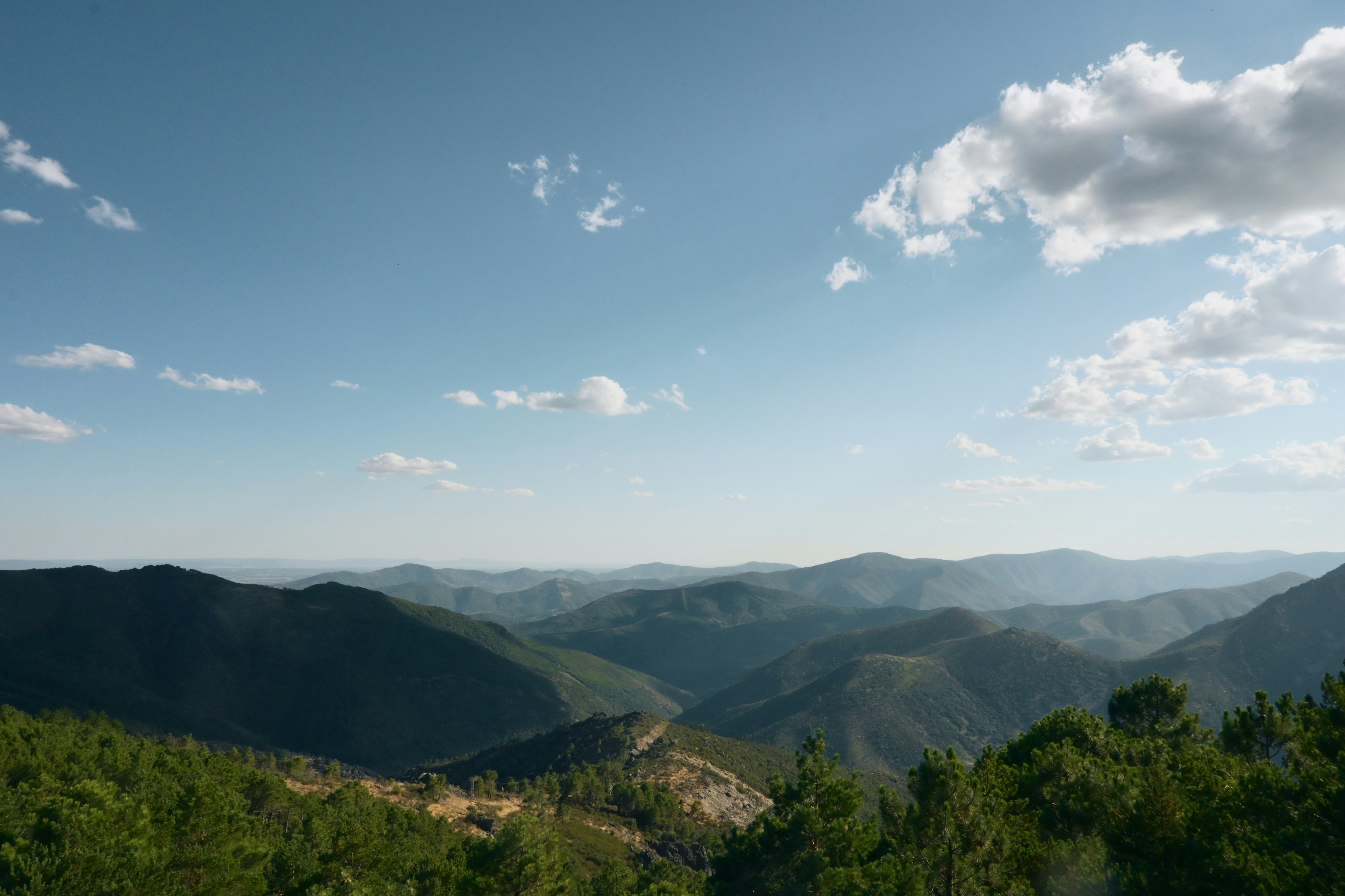 Horizon Woven in Green: A Quiet Ridge Under Open Sky