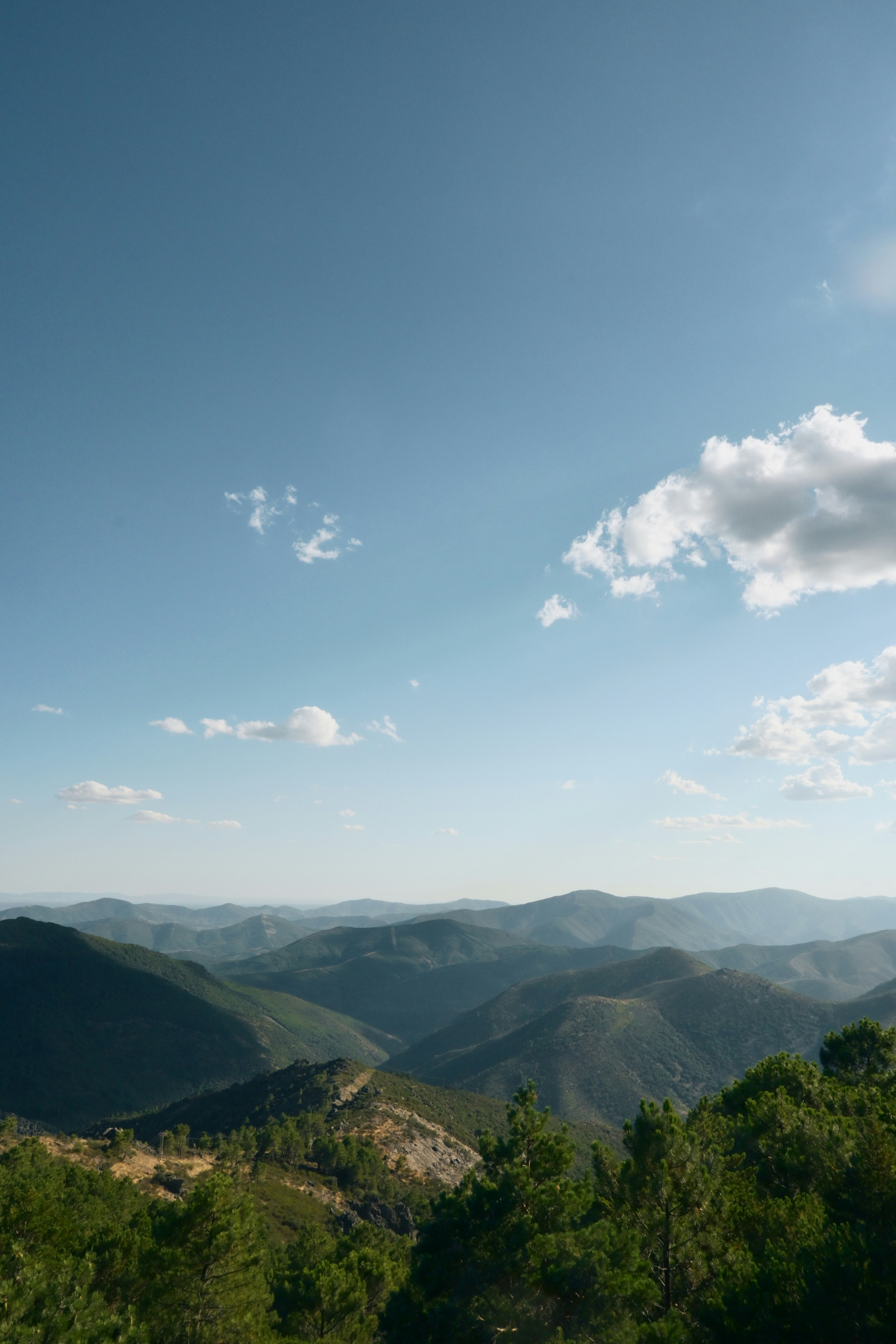 Rolling mountain ridges extend into the distance beneath a clear blue sky with scattered clouds, captured from a high vantage in a pine-dotted foreground.