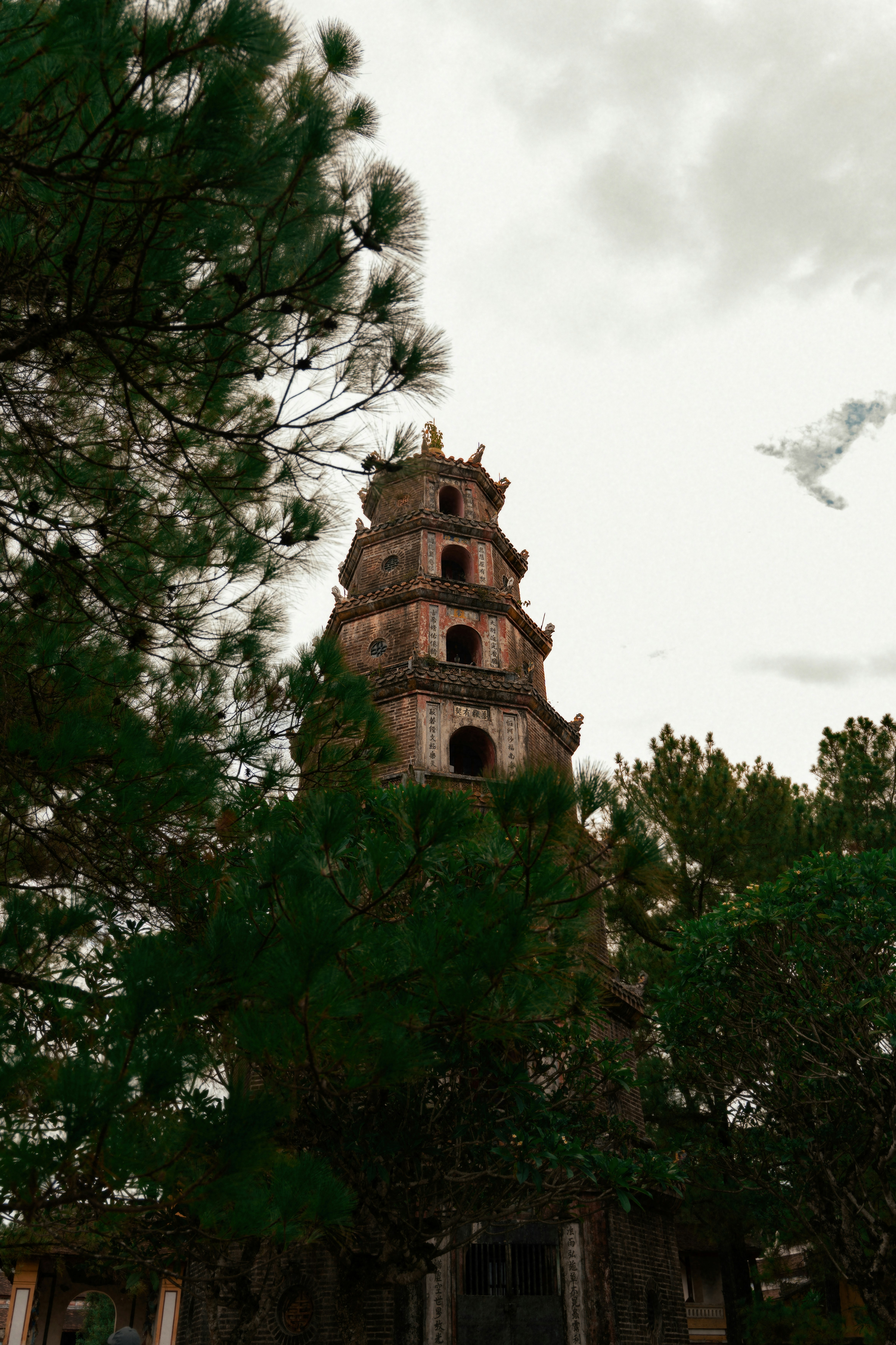 Stone Pagoda Rising Through Pine Veil