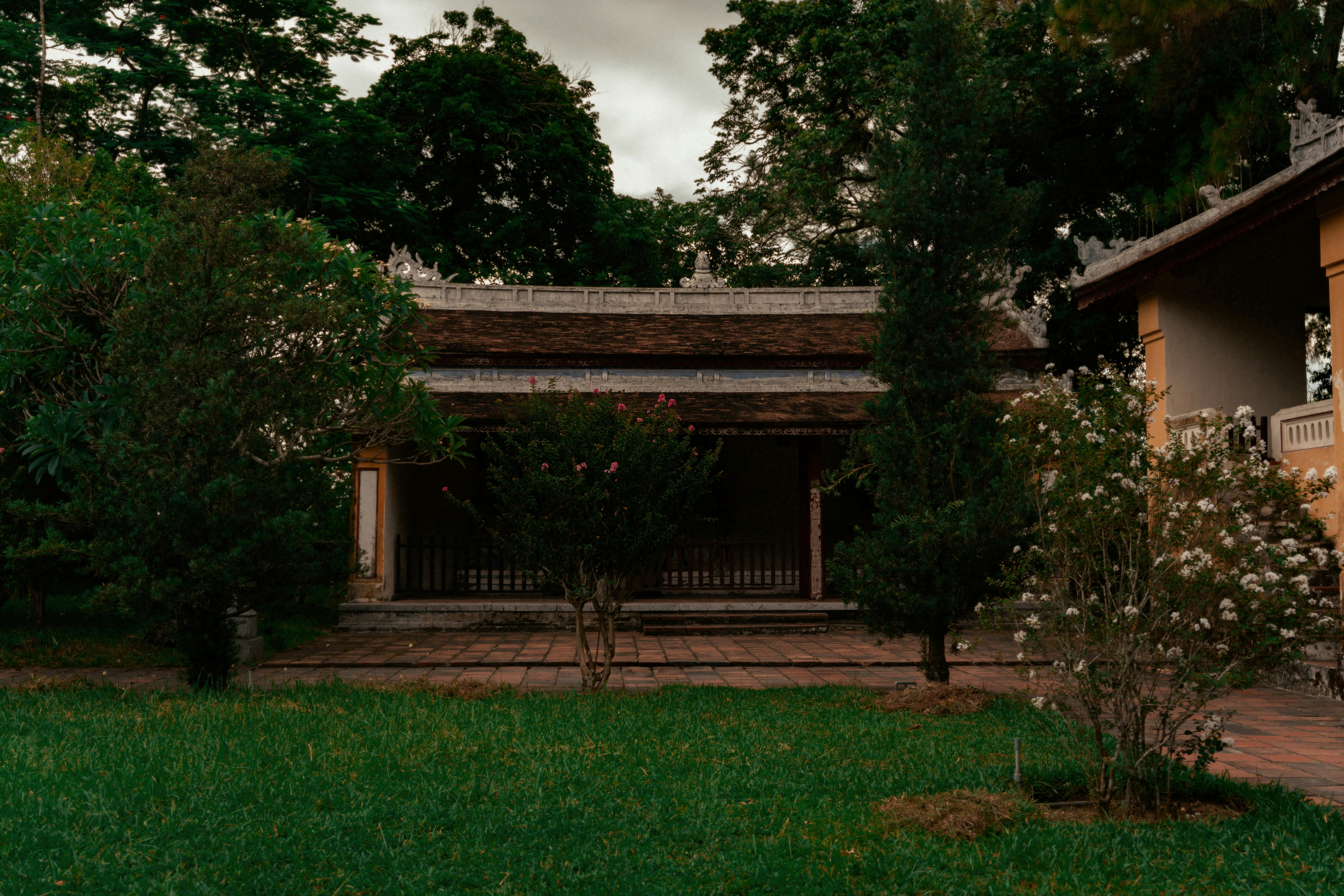 Quiet Courtyard Gate framed by Trees