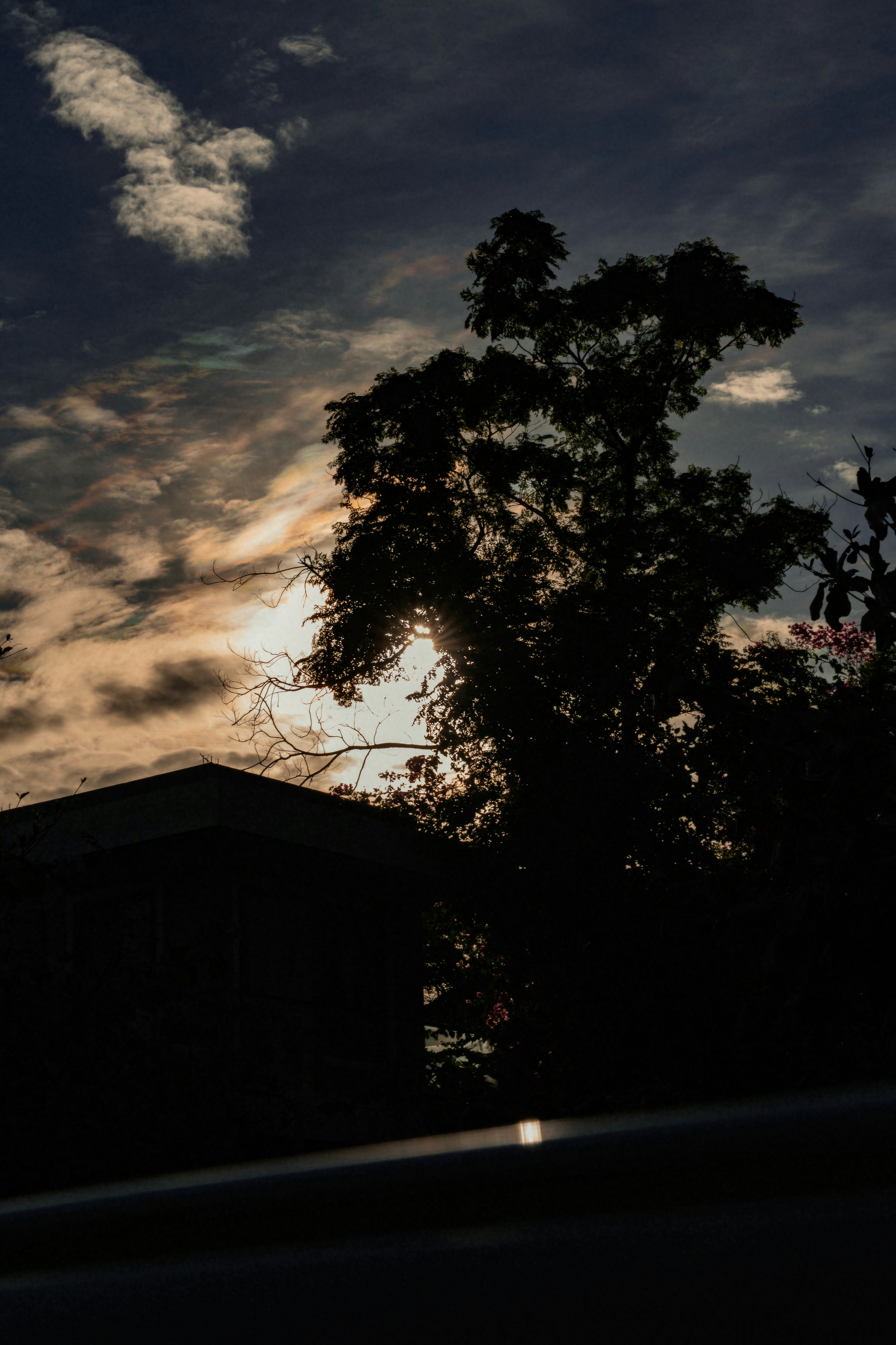 Silhouetted Tree Against a Golden-Soaked Sunset