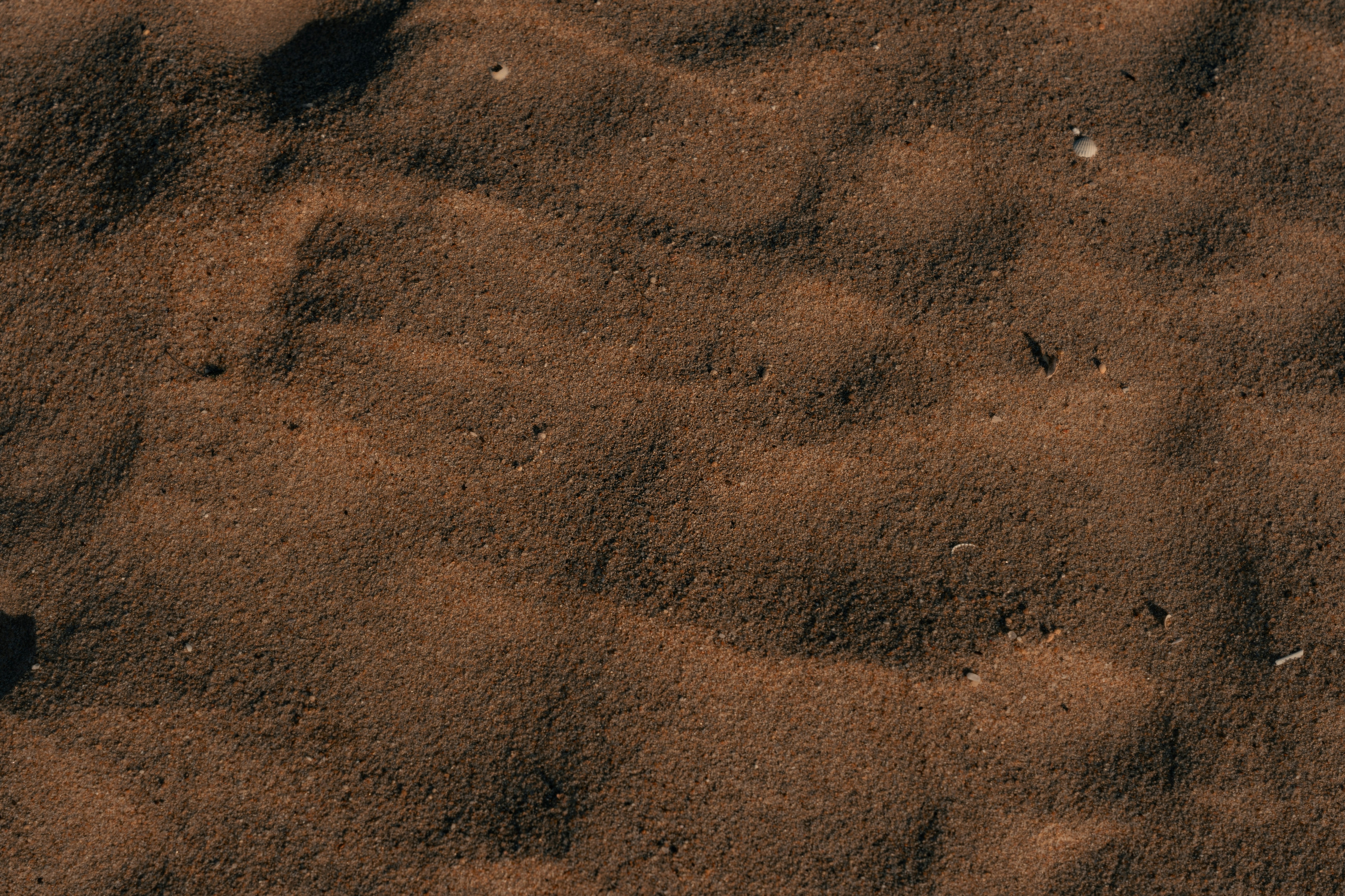 Golden Ripples: Close-Up of Desert Sand Formations