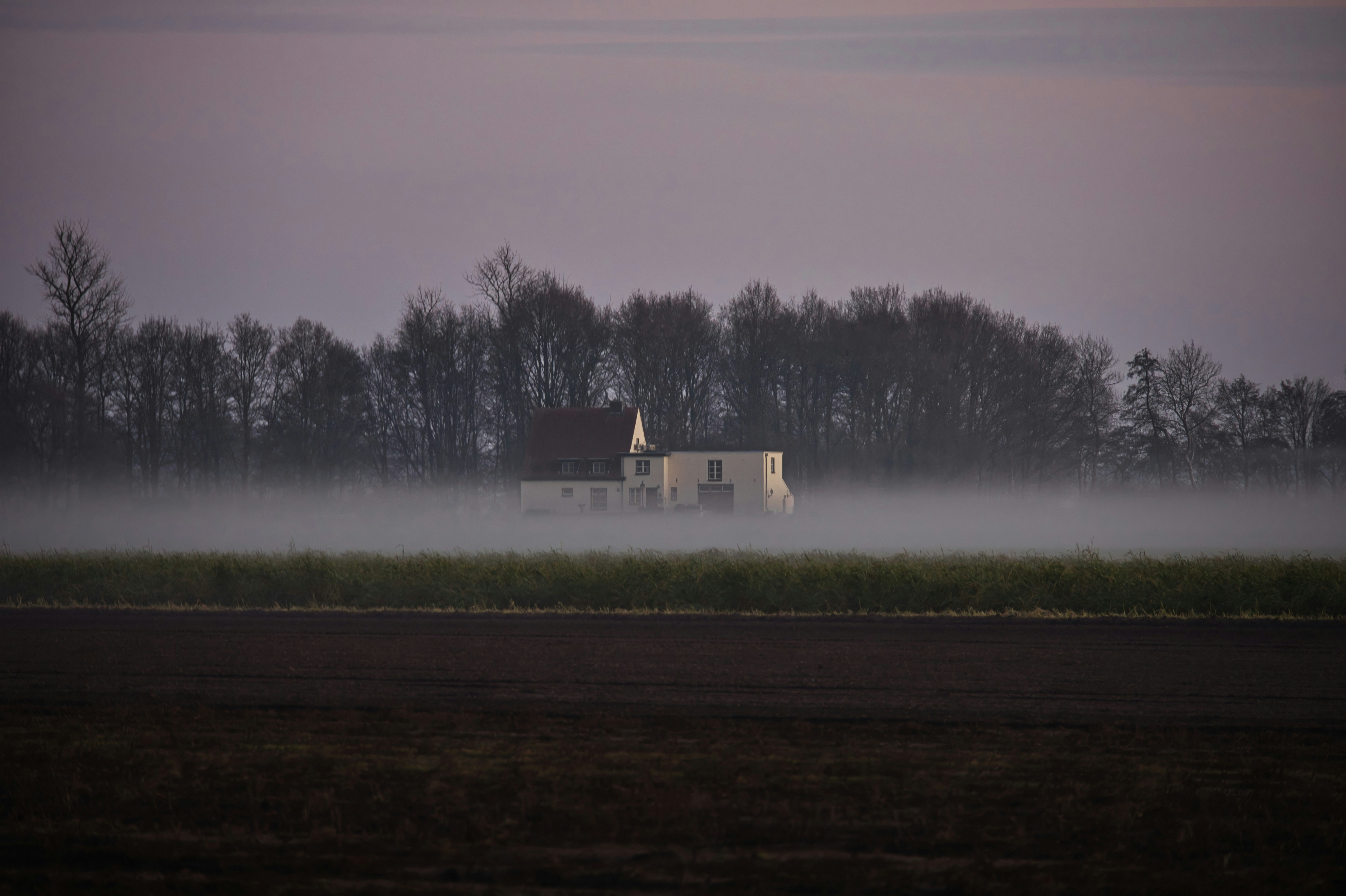 Misty Farmhouse Quietly Anchored in Dawn's Fog