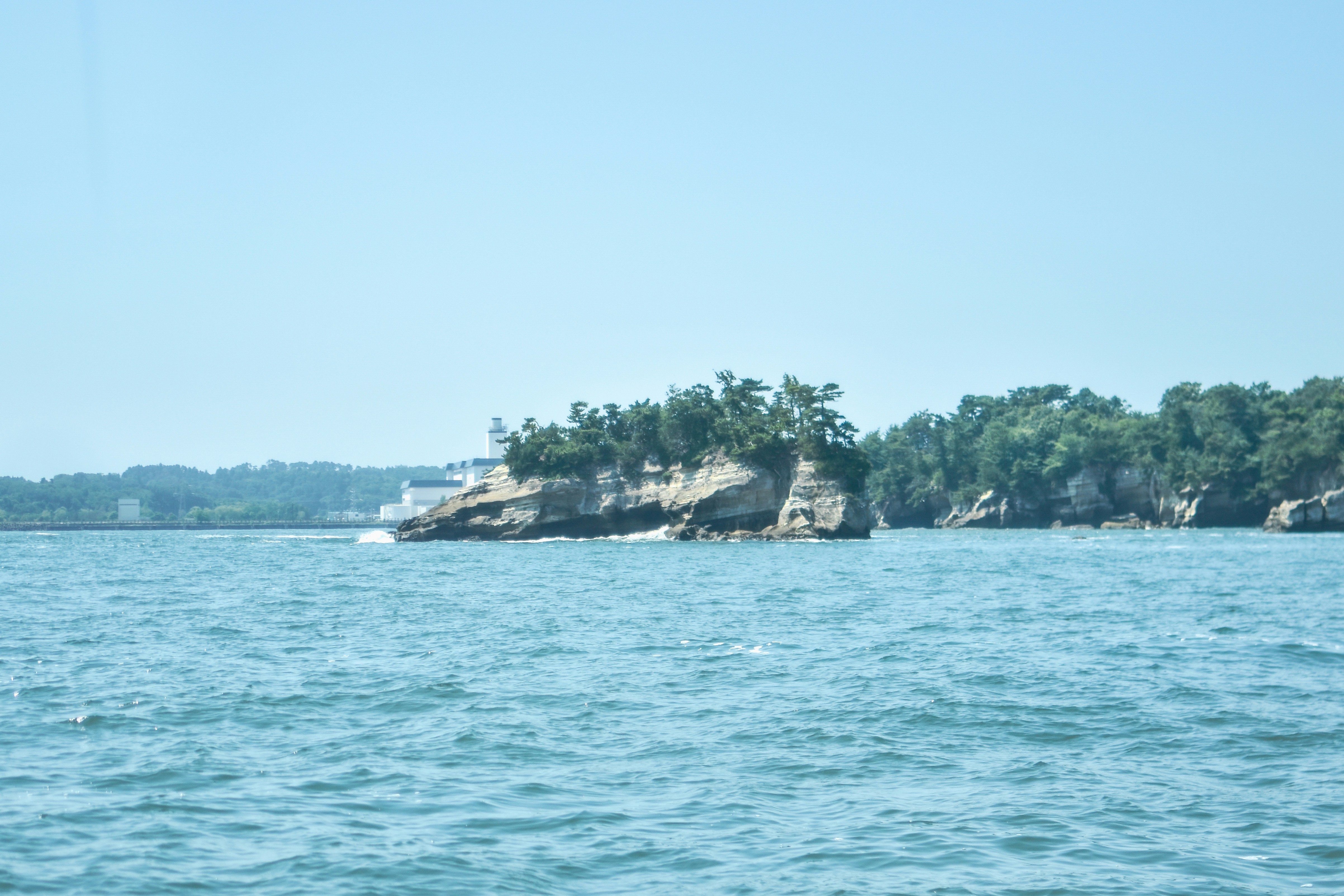 Coastal Rock Outcrop with Pine Crest on a Calm Sea