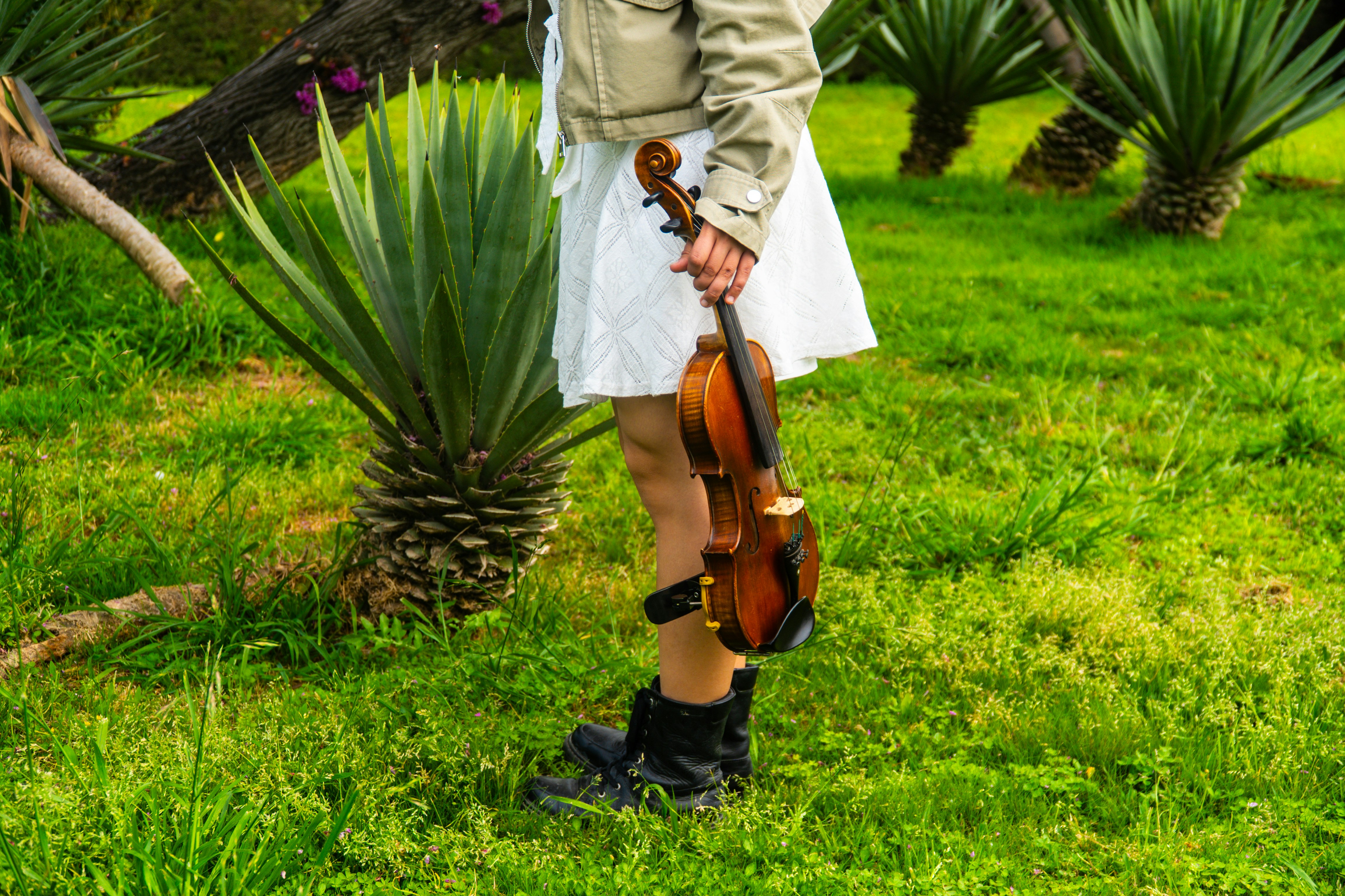 Violin at the Edge of the Lawn