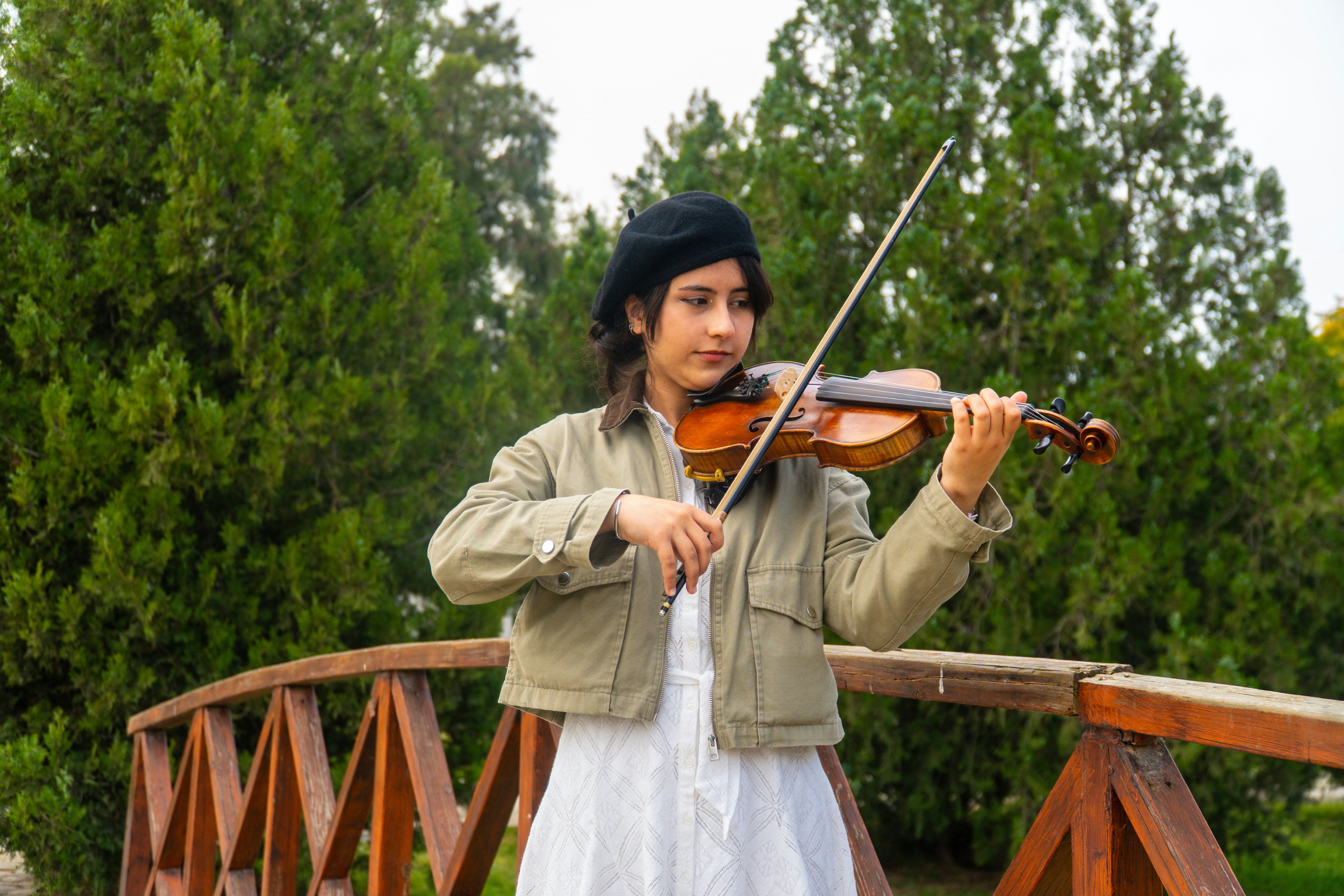 Violin in the Green Corridor: A Serenade on the Bridge