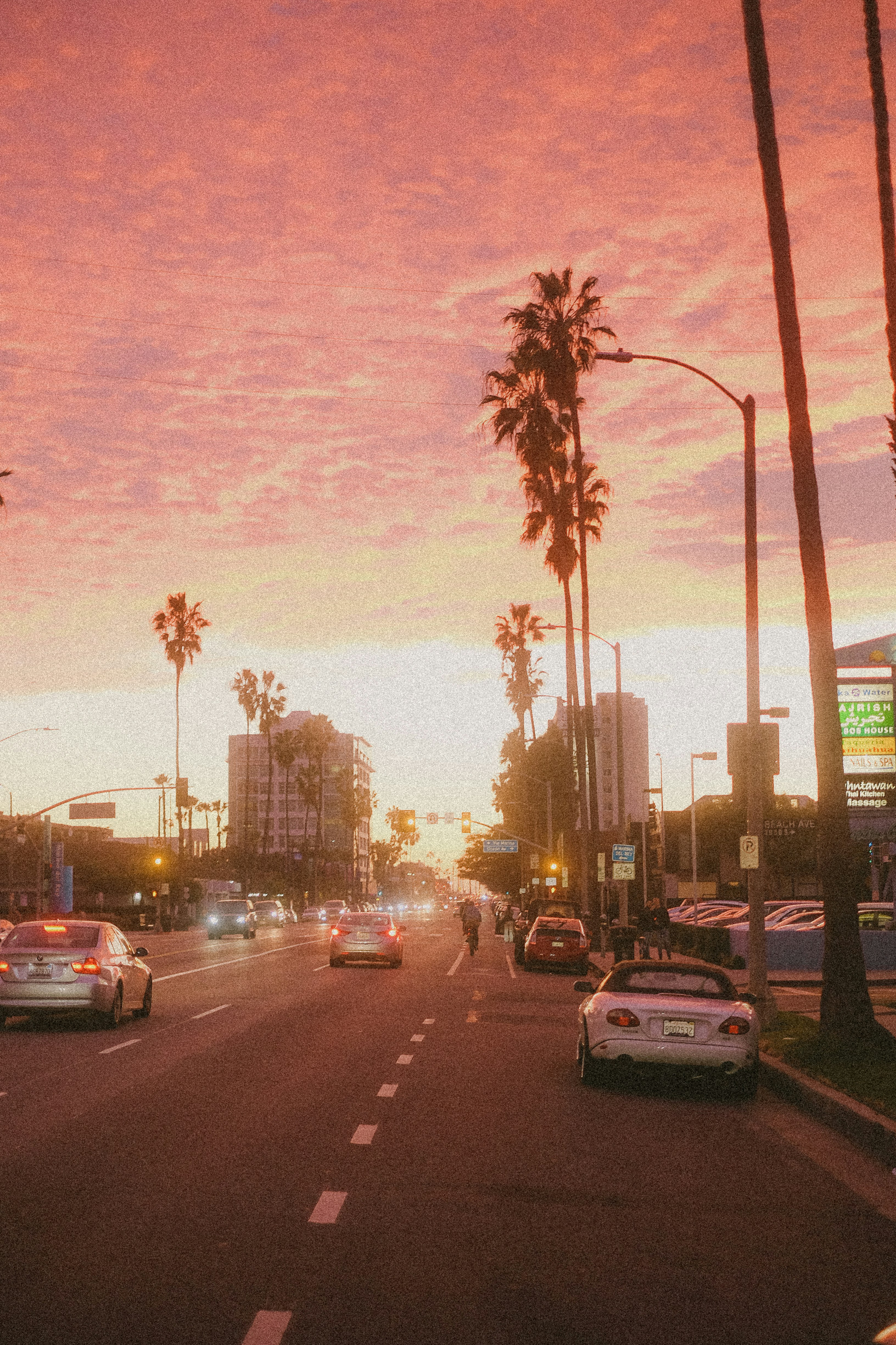Sunset Boulevard: Palm Shadows Over a Luminous Downtown