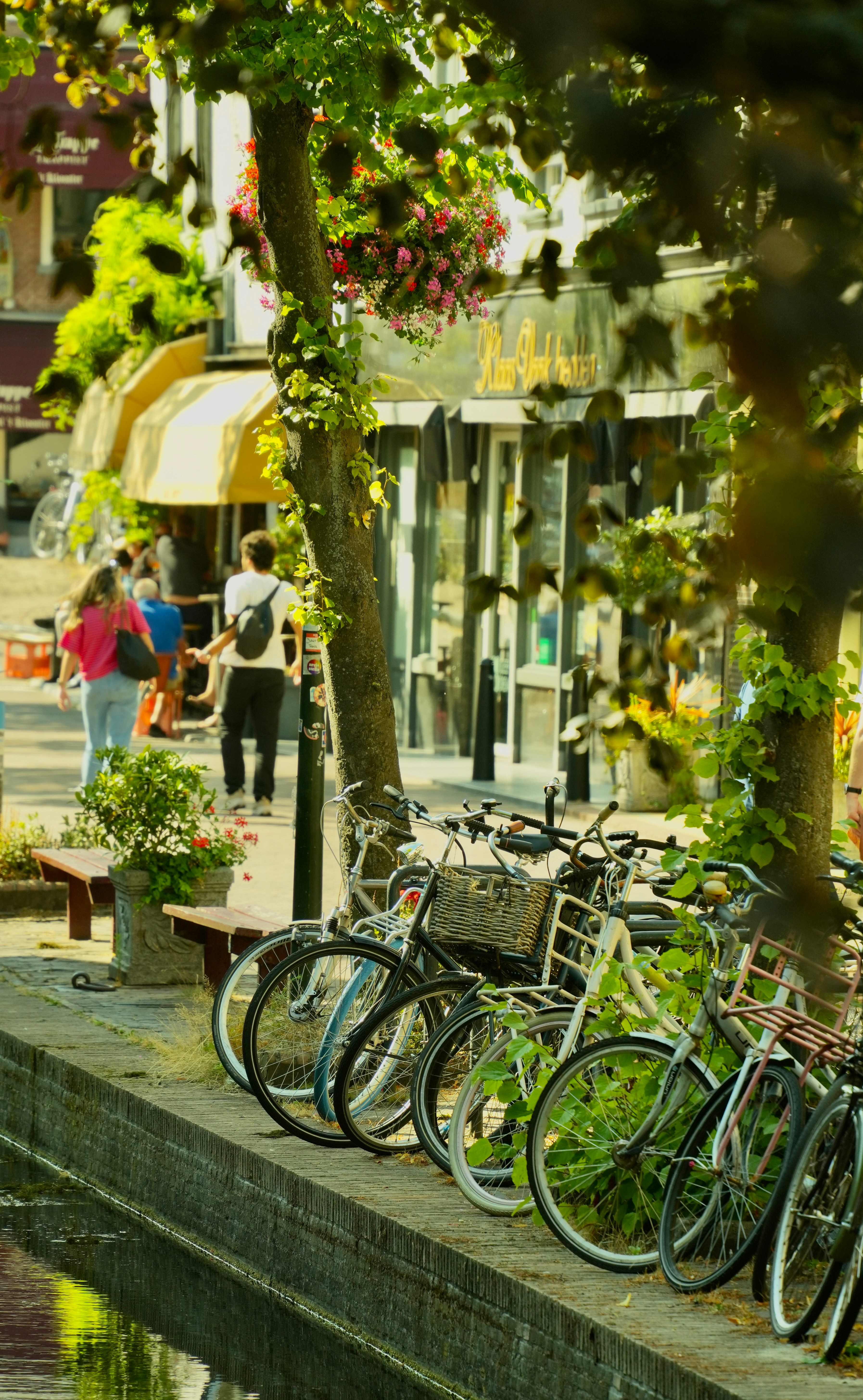 Vibrant street scene with parked bicycles along a canal, storefronts, and pedestrians in the background; a hanging flower basket adds color while trees frame the image. This is a candid urban snapshot.