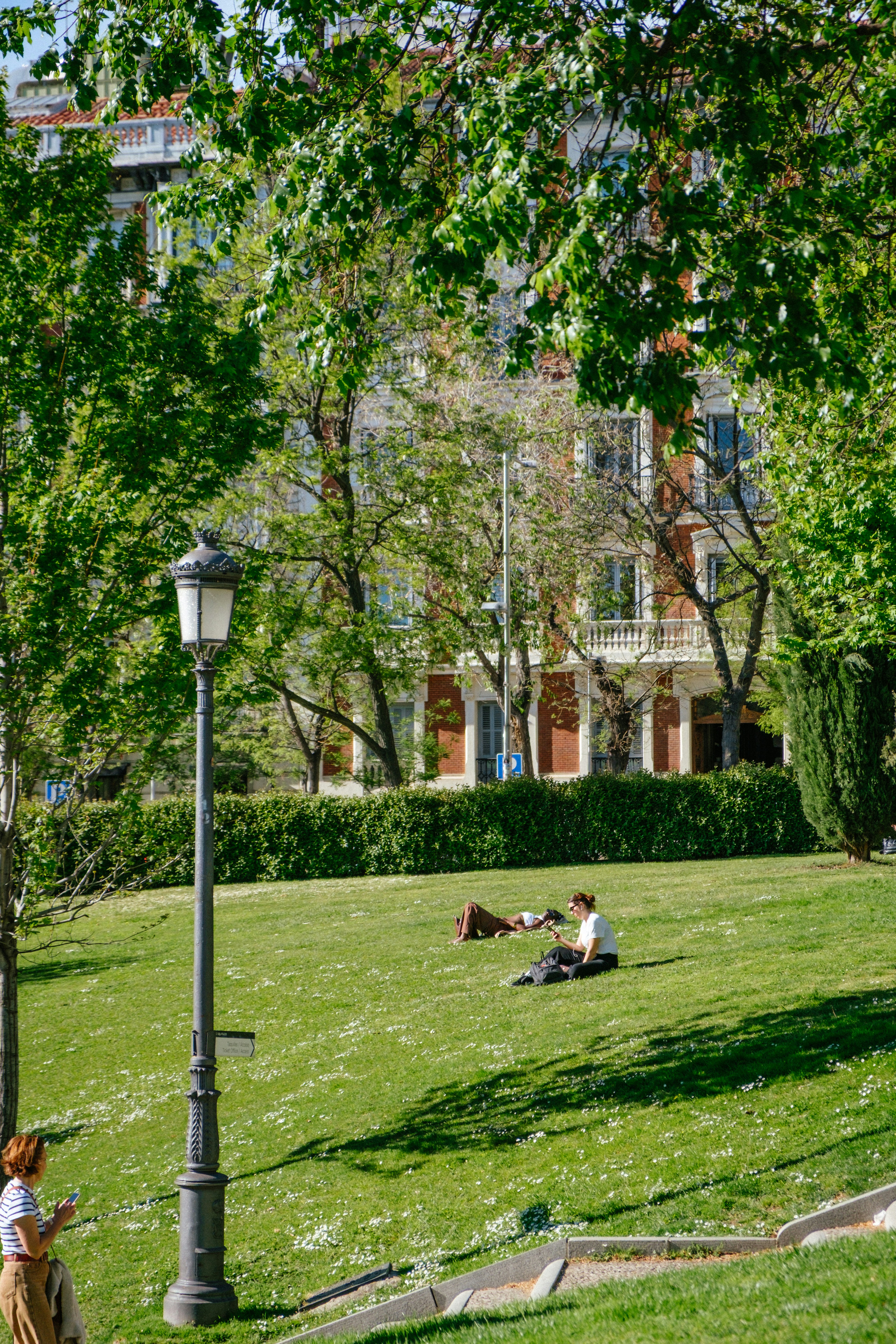 Sunlit Park Corner: A Quiet Moment Among the Green and Architecture