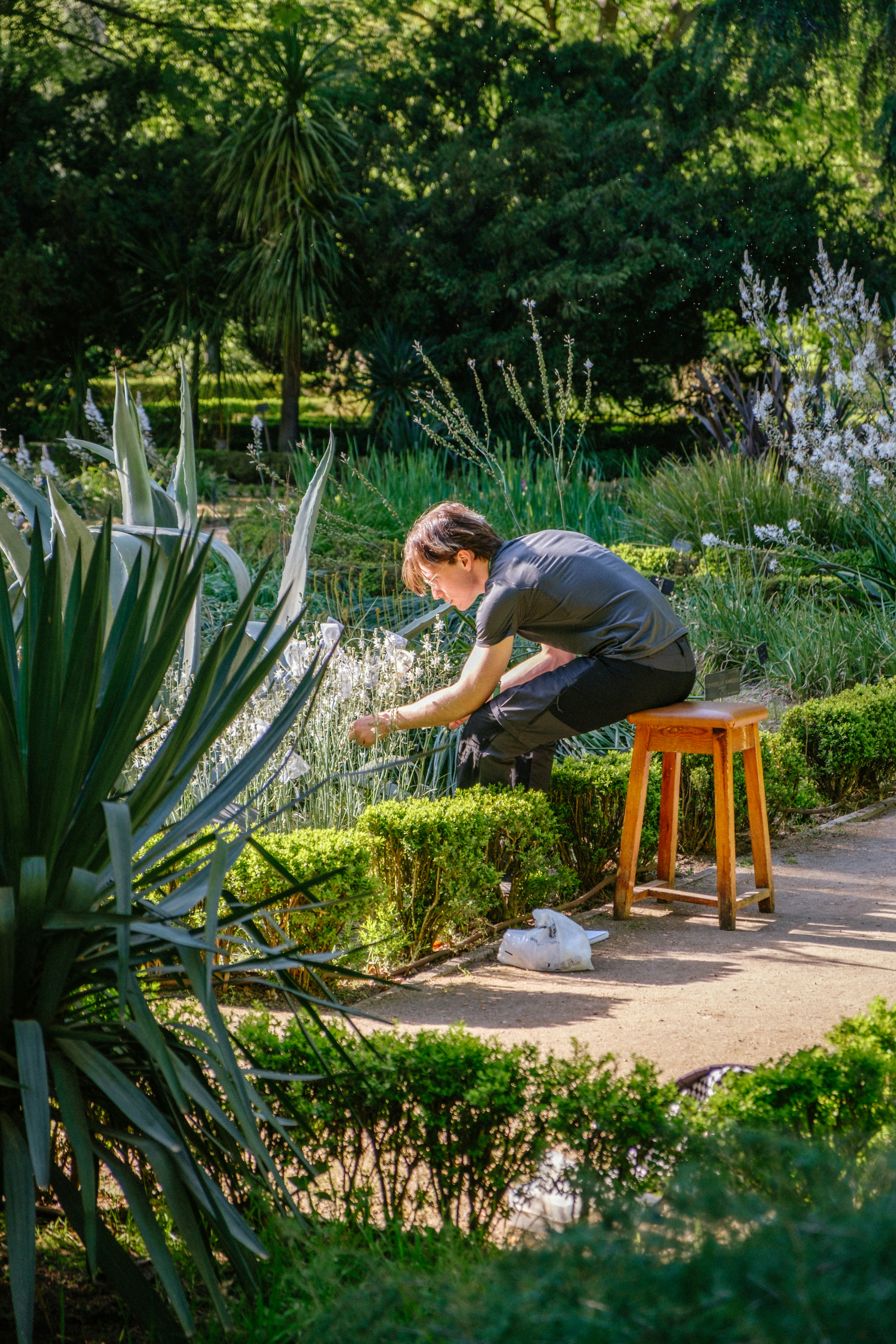 Gardener at Work: A Quiet Portrait in the Botanical Garden