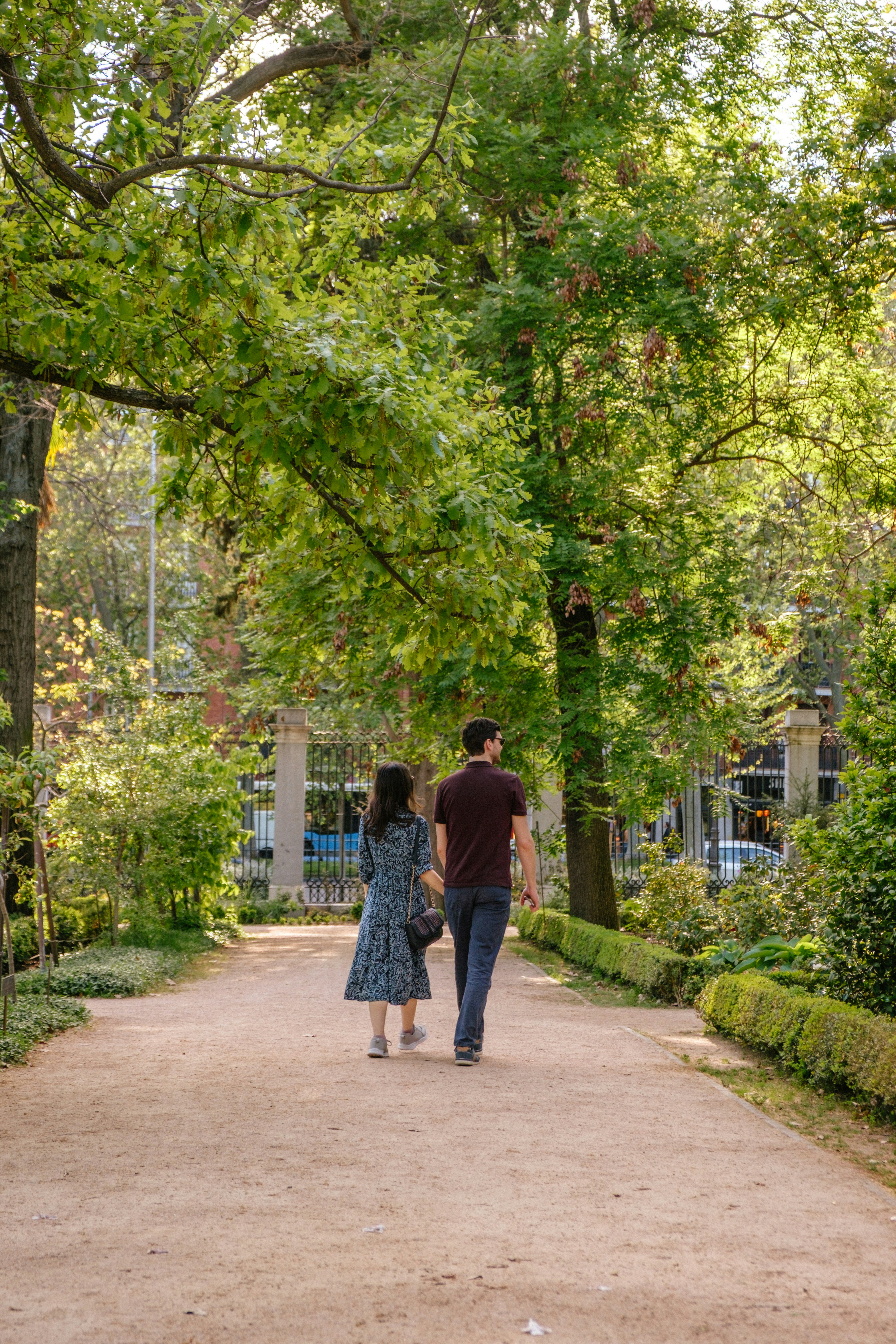 Autumn Stroll: A Quiet Walk Through a Green City Park