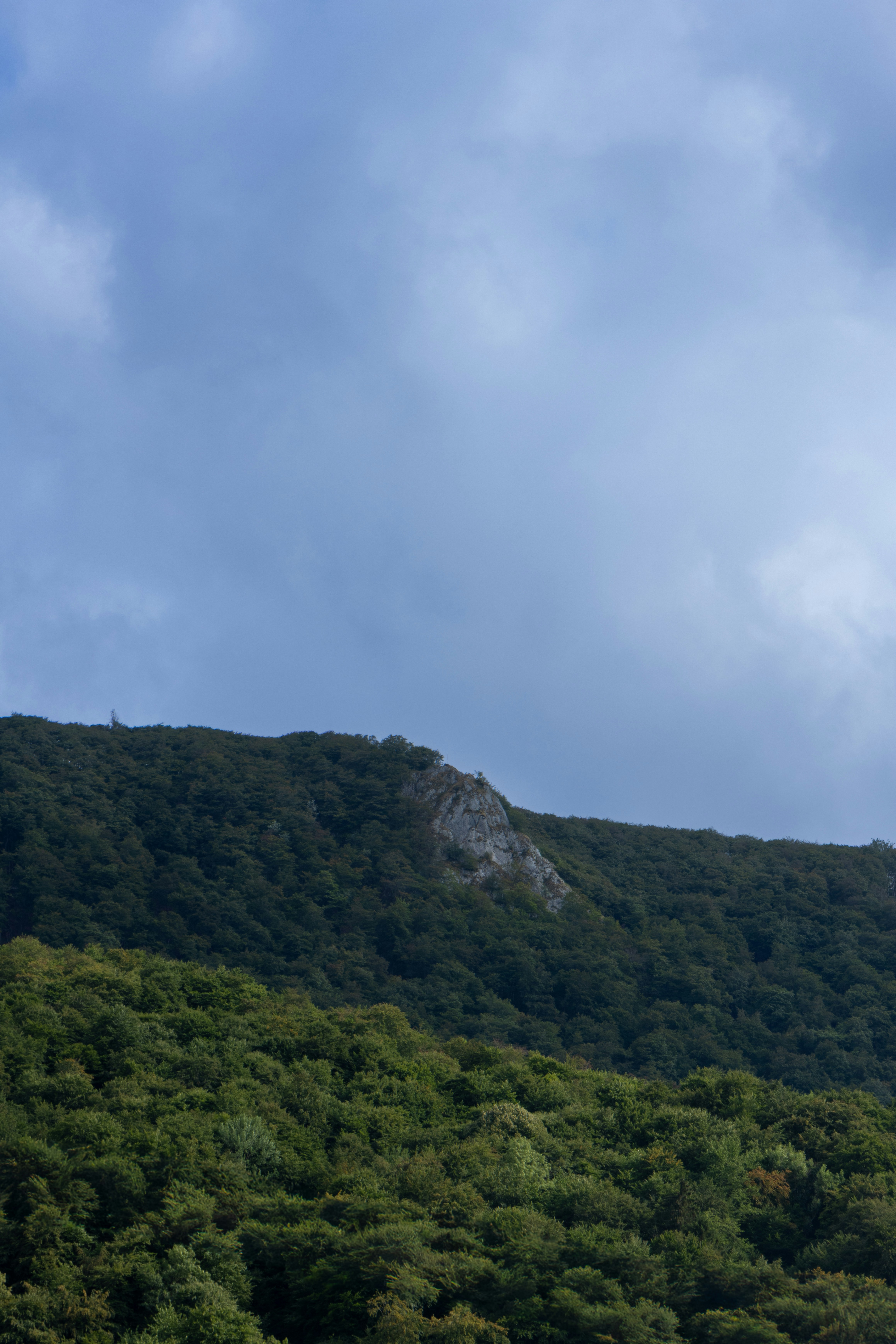 Ridge Above the Green Crest Beneath a Quiet Sky