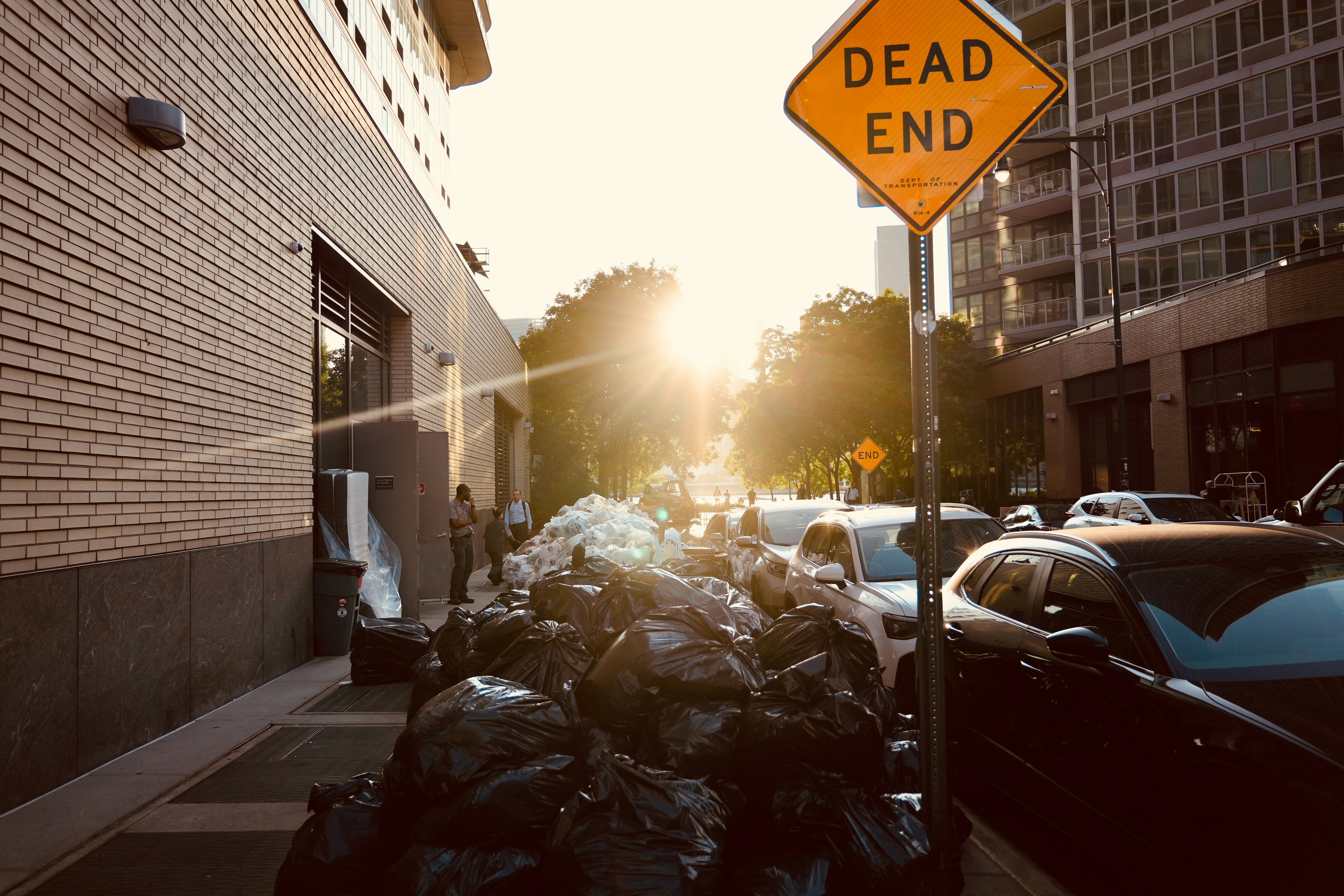 Sunlit Alleyway: Trash Liners and a Stubborn Sign