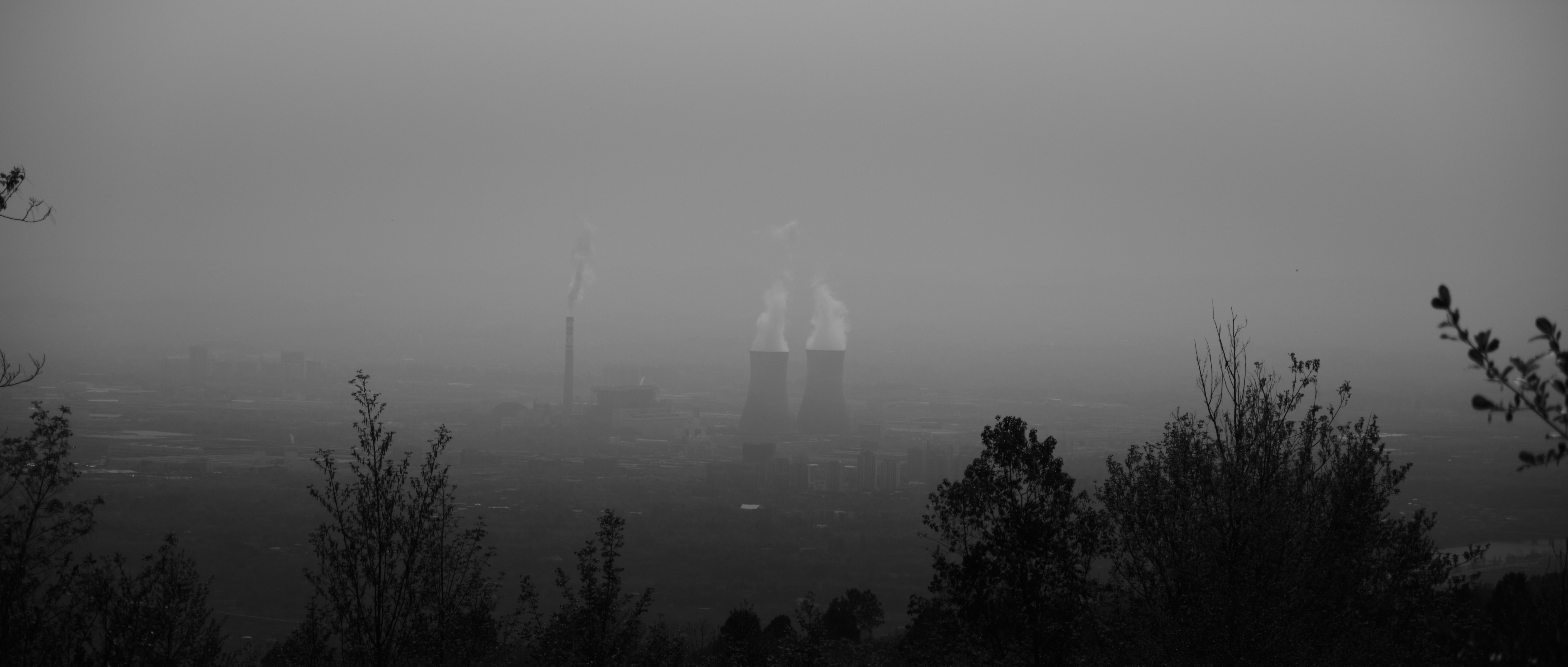 Low-contrast cityscape with distant twin towers barely visible through morning mist; foreground silhouettes of trees frame the hazy horizon. This grayscale urban landscape emphasizes atmosphere and depth.