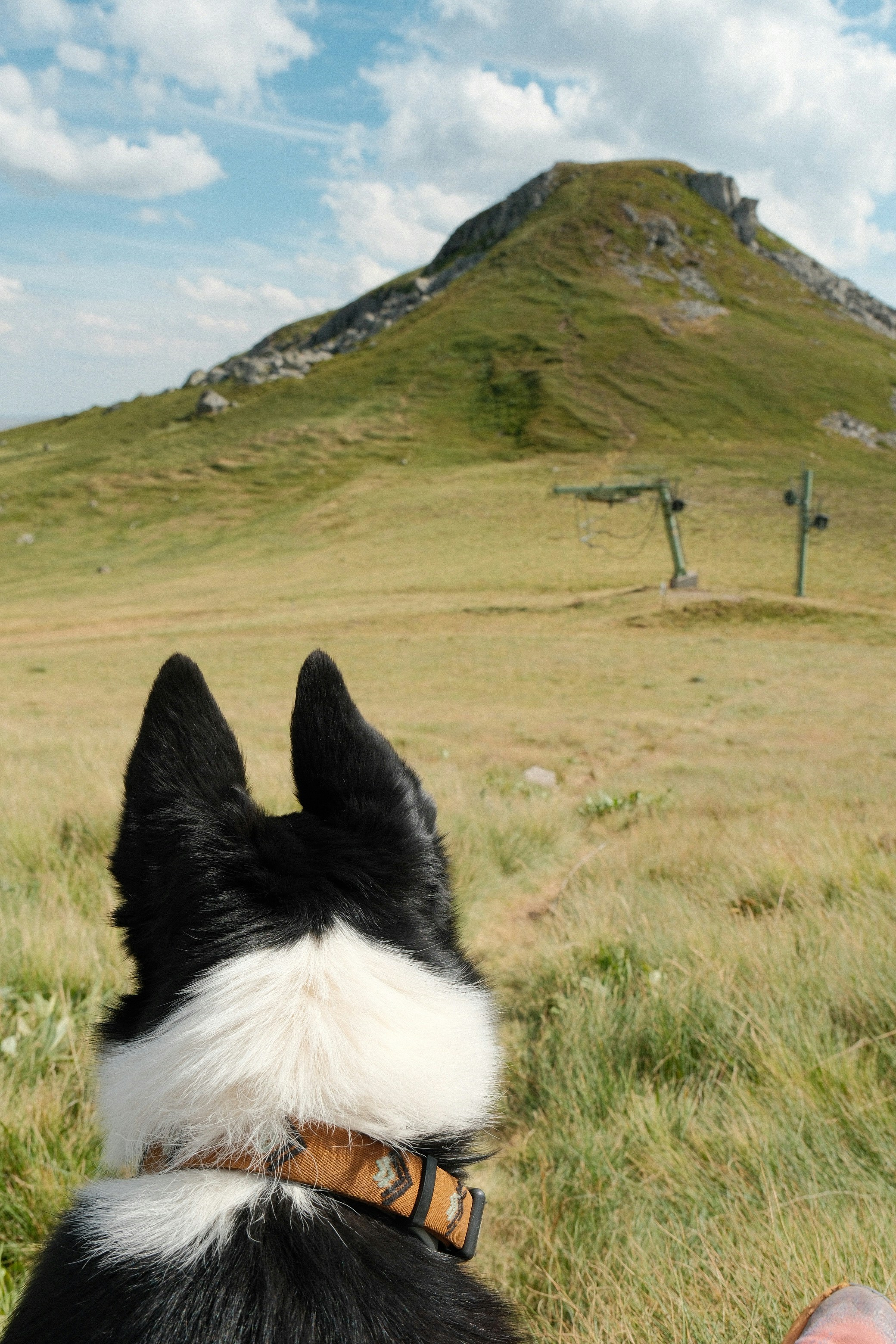 Tracking the Horizon: A Dog's Eye View Toward the Hilltop Lift
