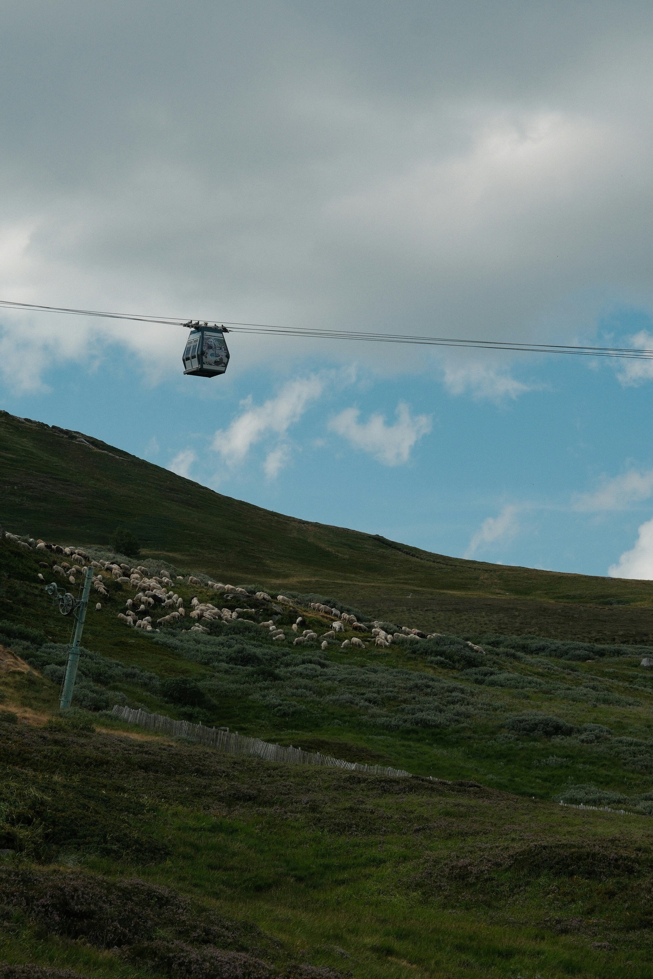 Cable Car Over the Rolling Moor: A Skyward Moment