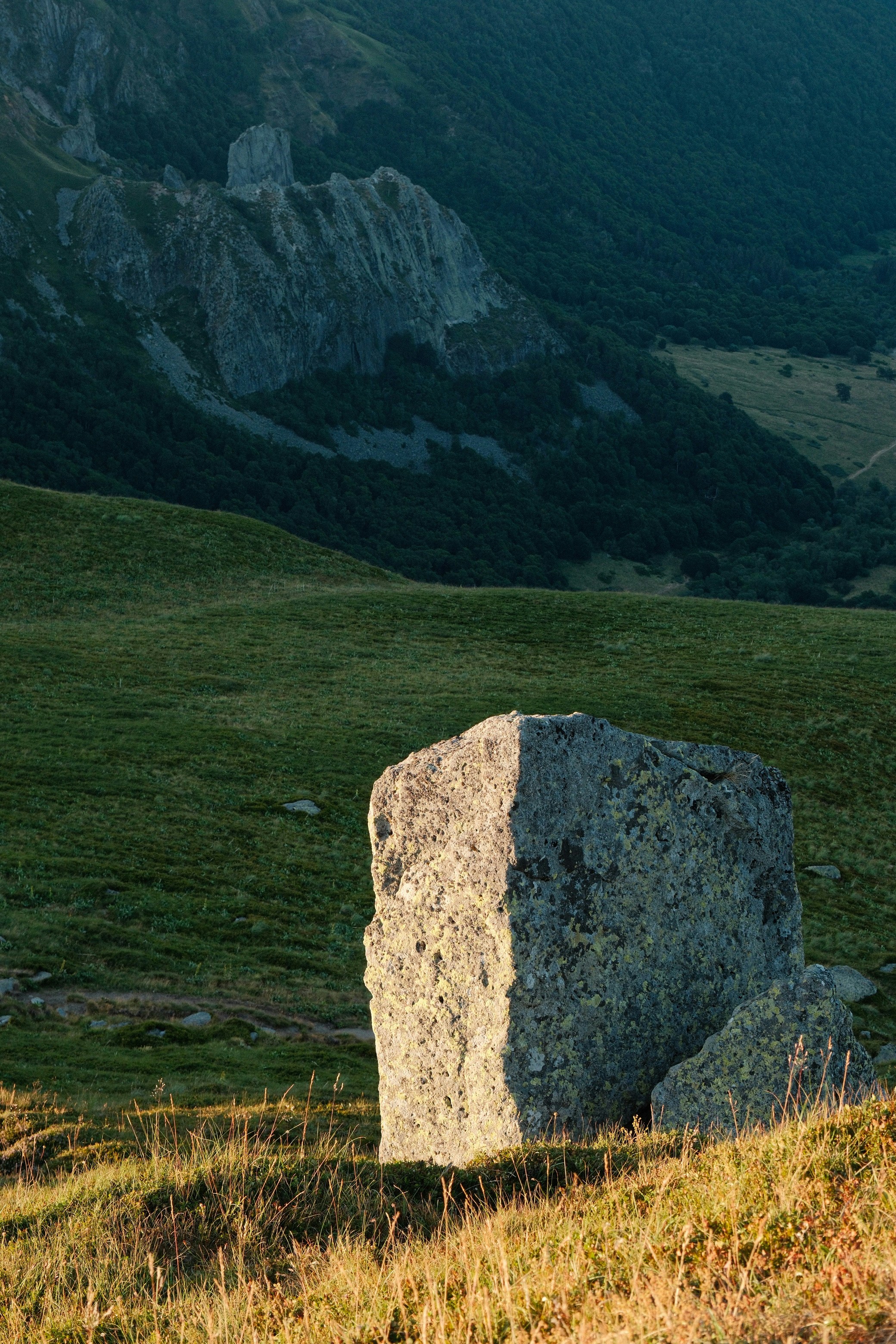 Lone limestone sentinel in sunlit meadow at mountain edge