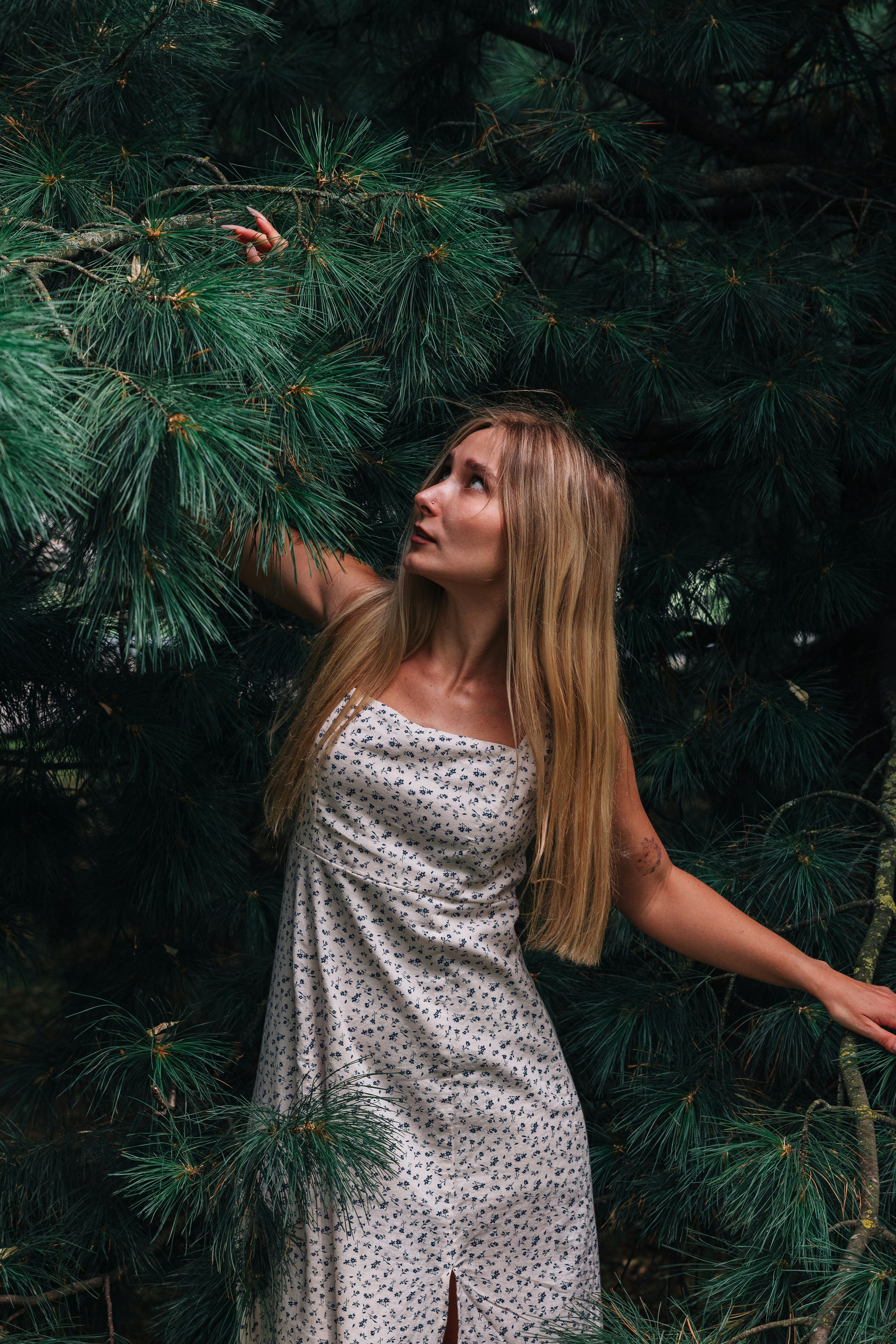 Whispering Pines: A Portrait in Shade and Light