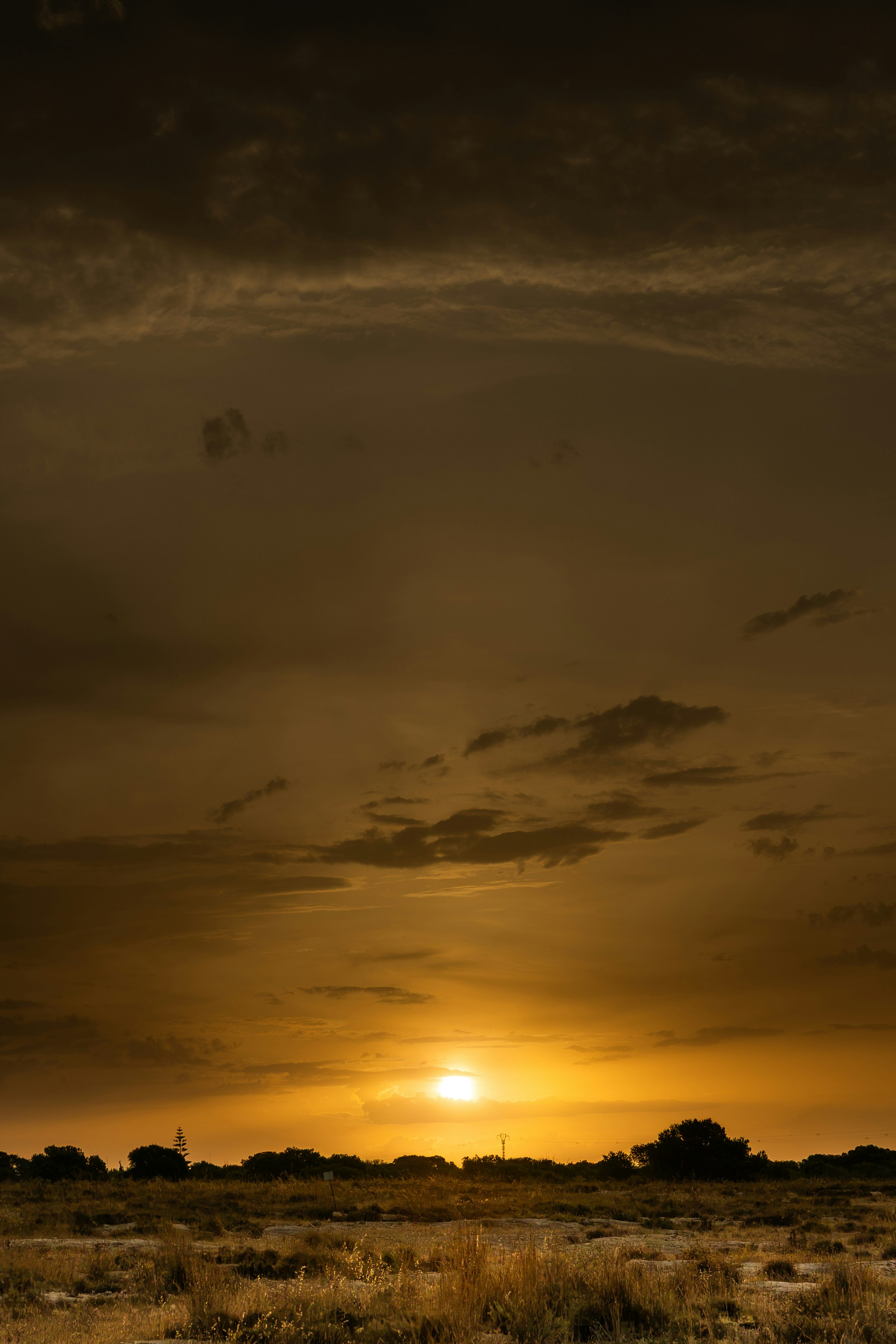 Low Horizon, Golden Quiet: A Desert Sunset