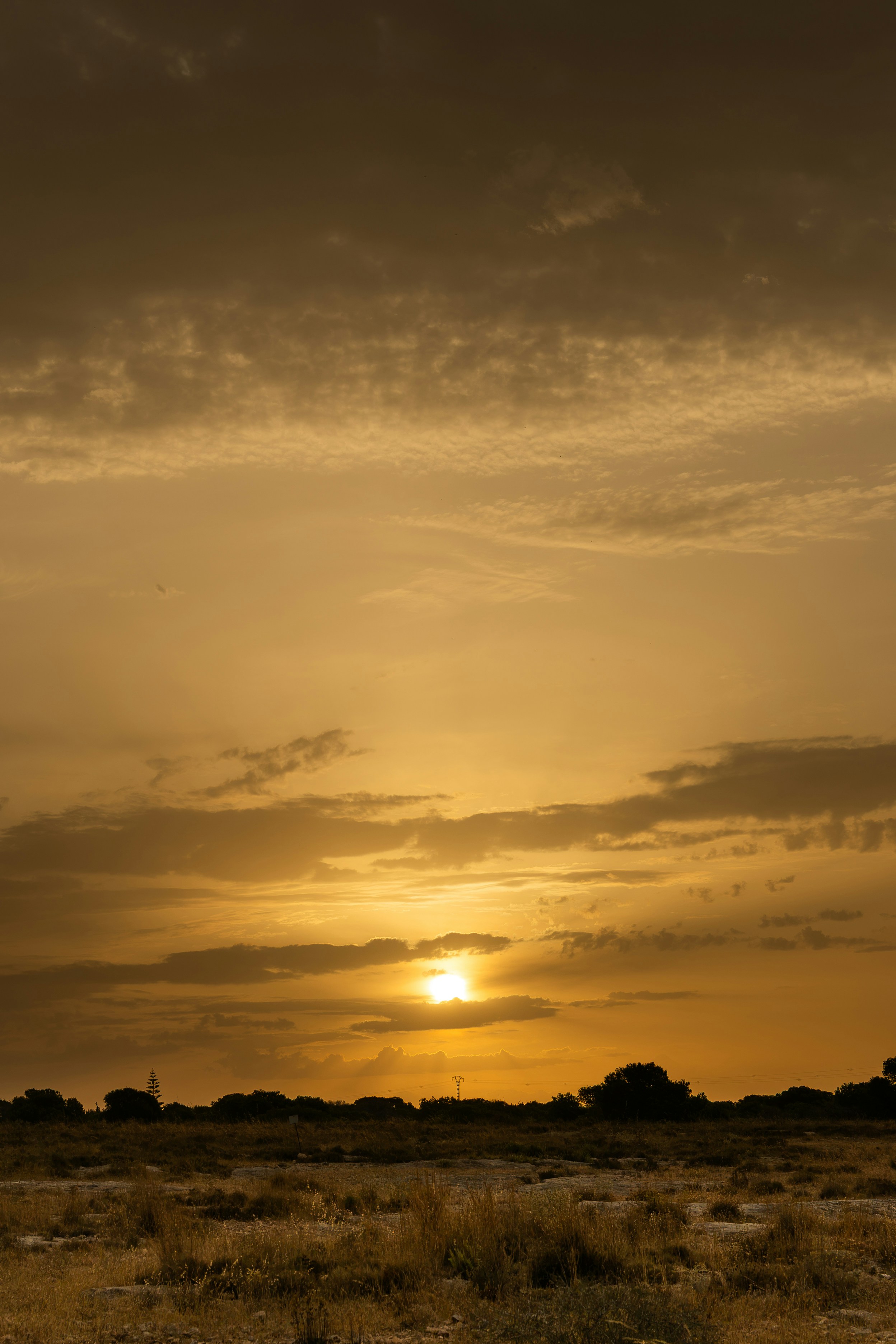 Golden Hour on the Distant Plain