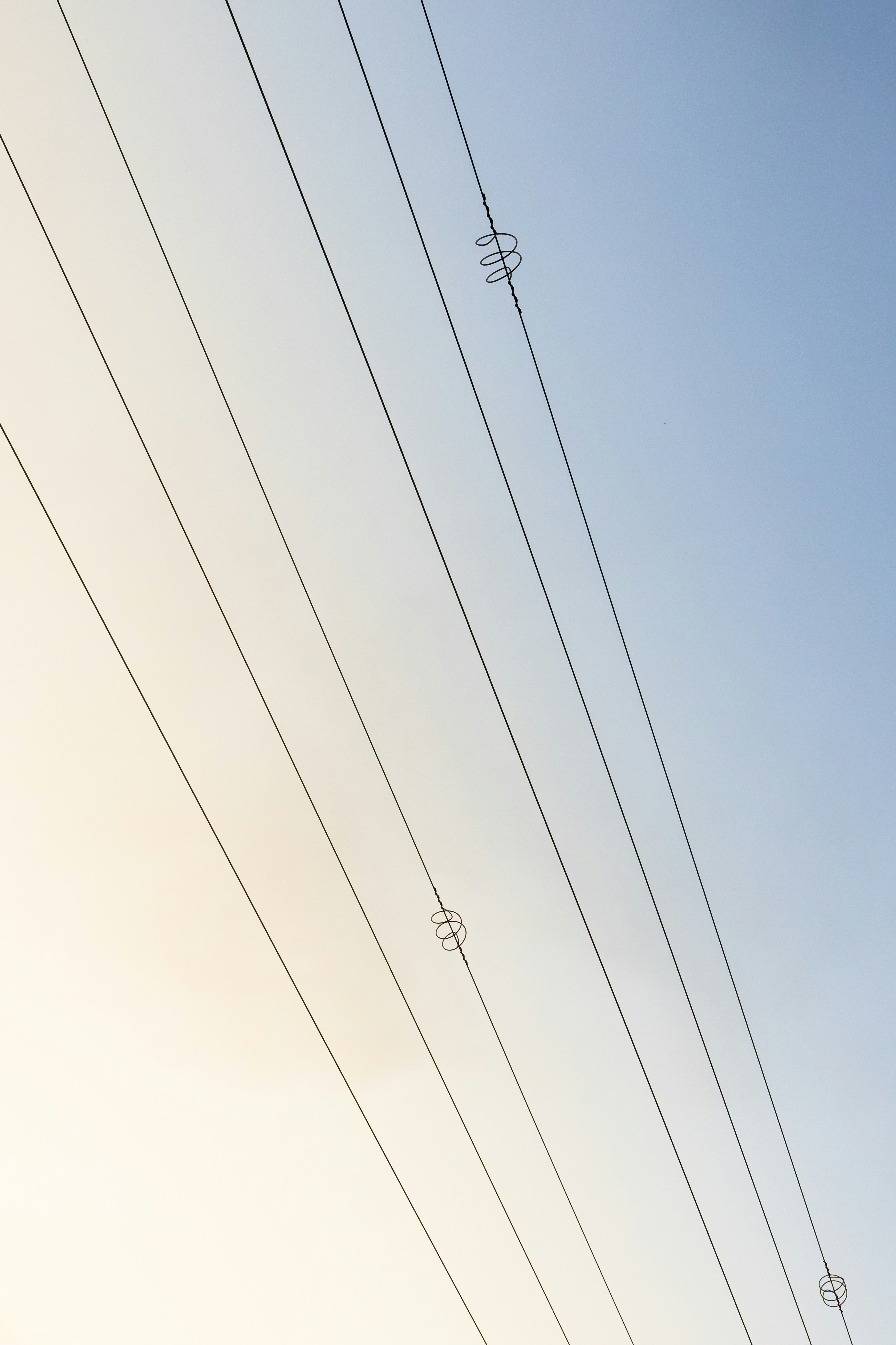 Rising Lines at Dusk: Parallel Wires Against a Quiet Sky