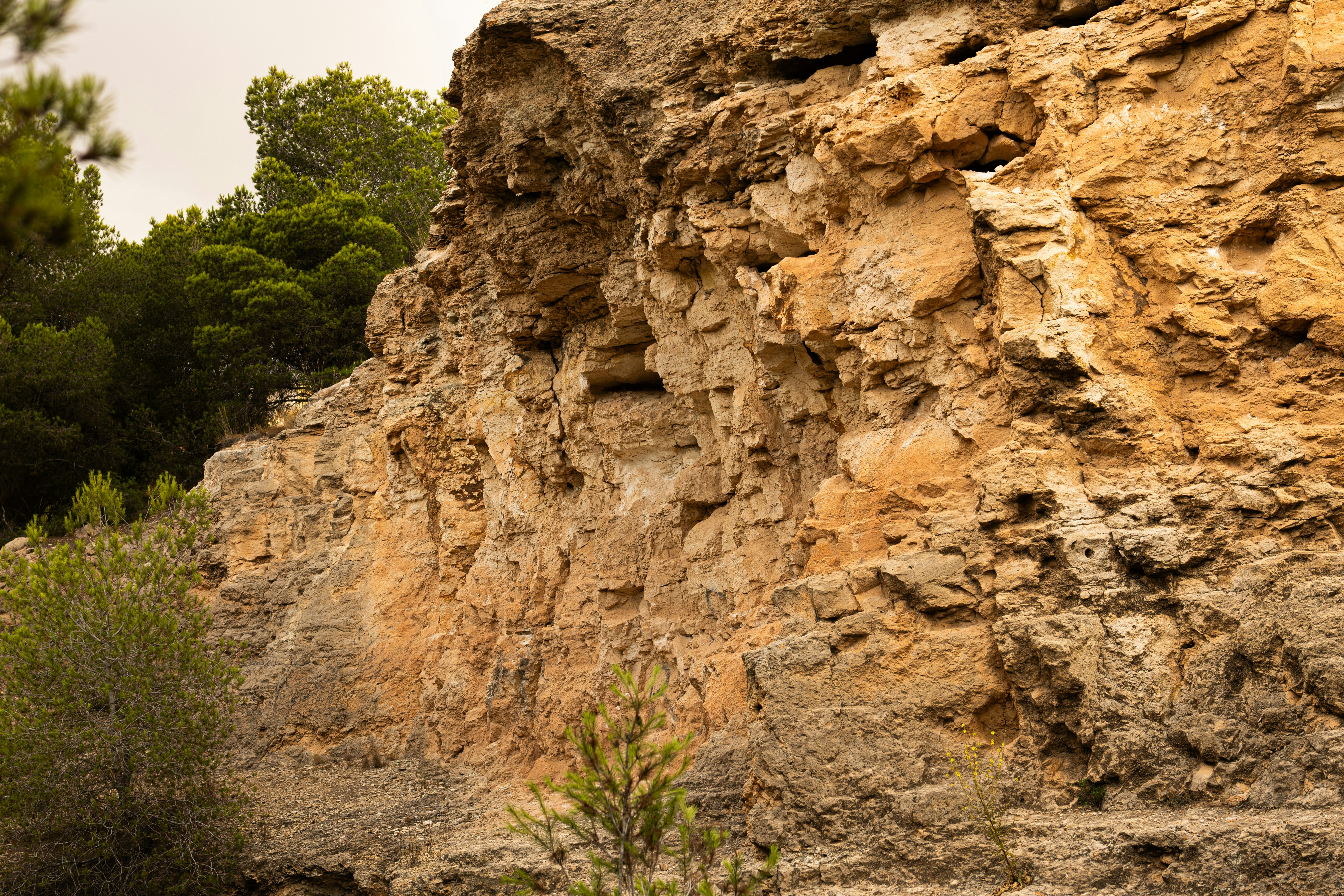 Weathered limestone cliff under a warm sky