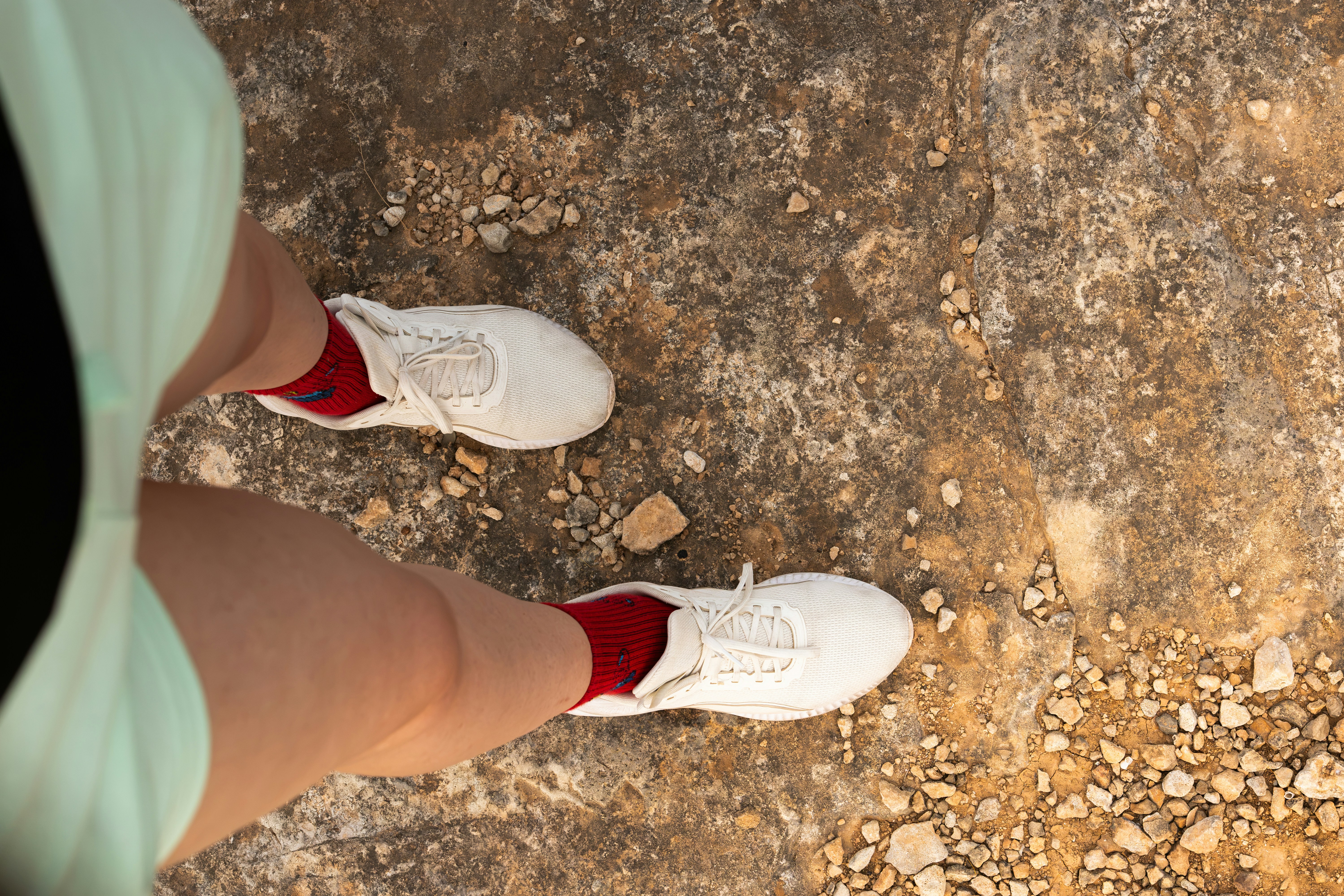 Grounded Steps: Sneakers and Earth in a Sunny Descent