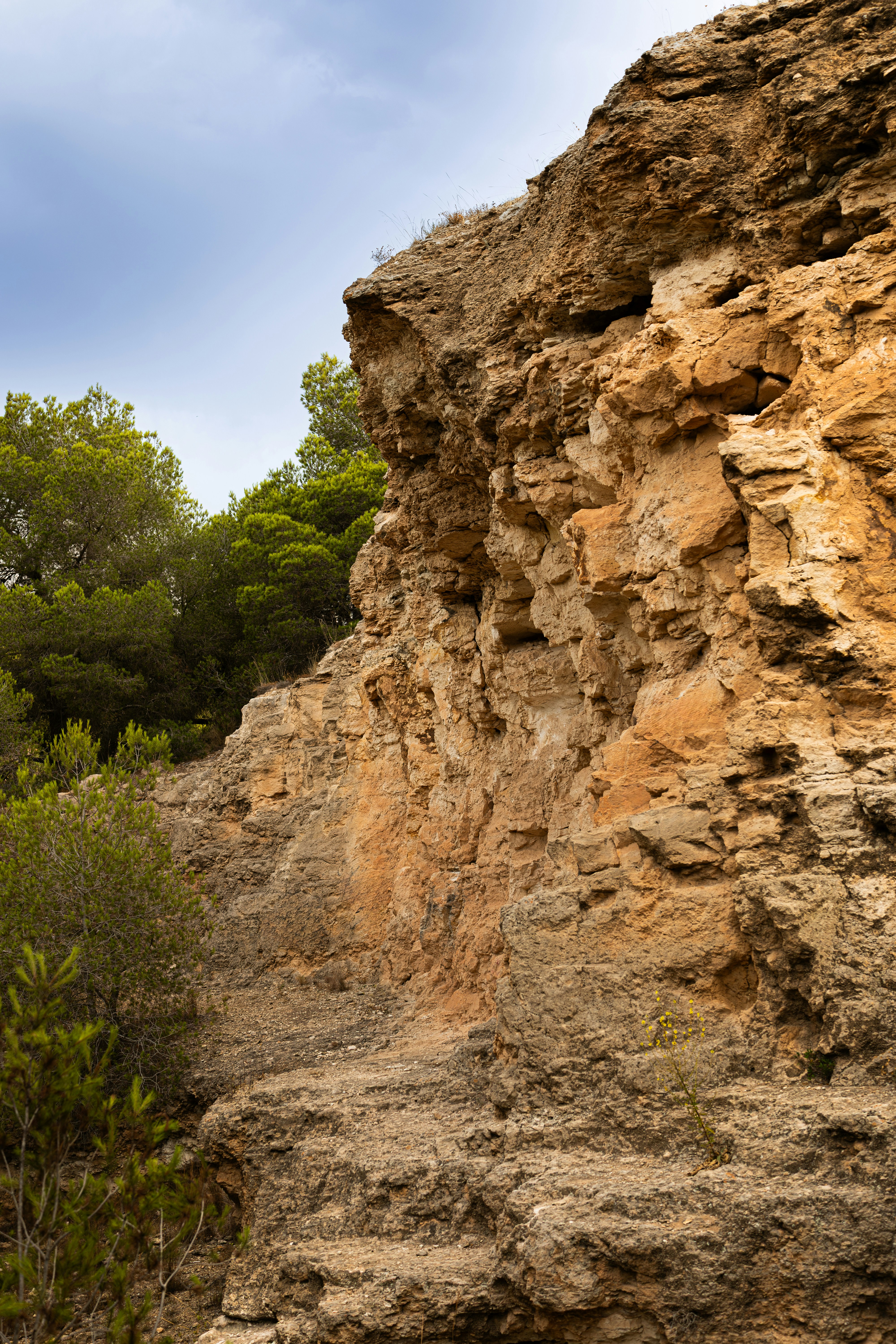 Cliff Face at Golden Hour: Strata and Greenery