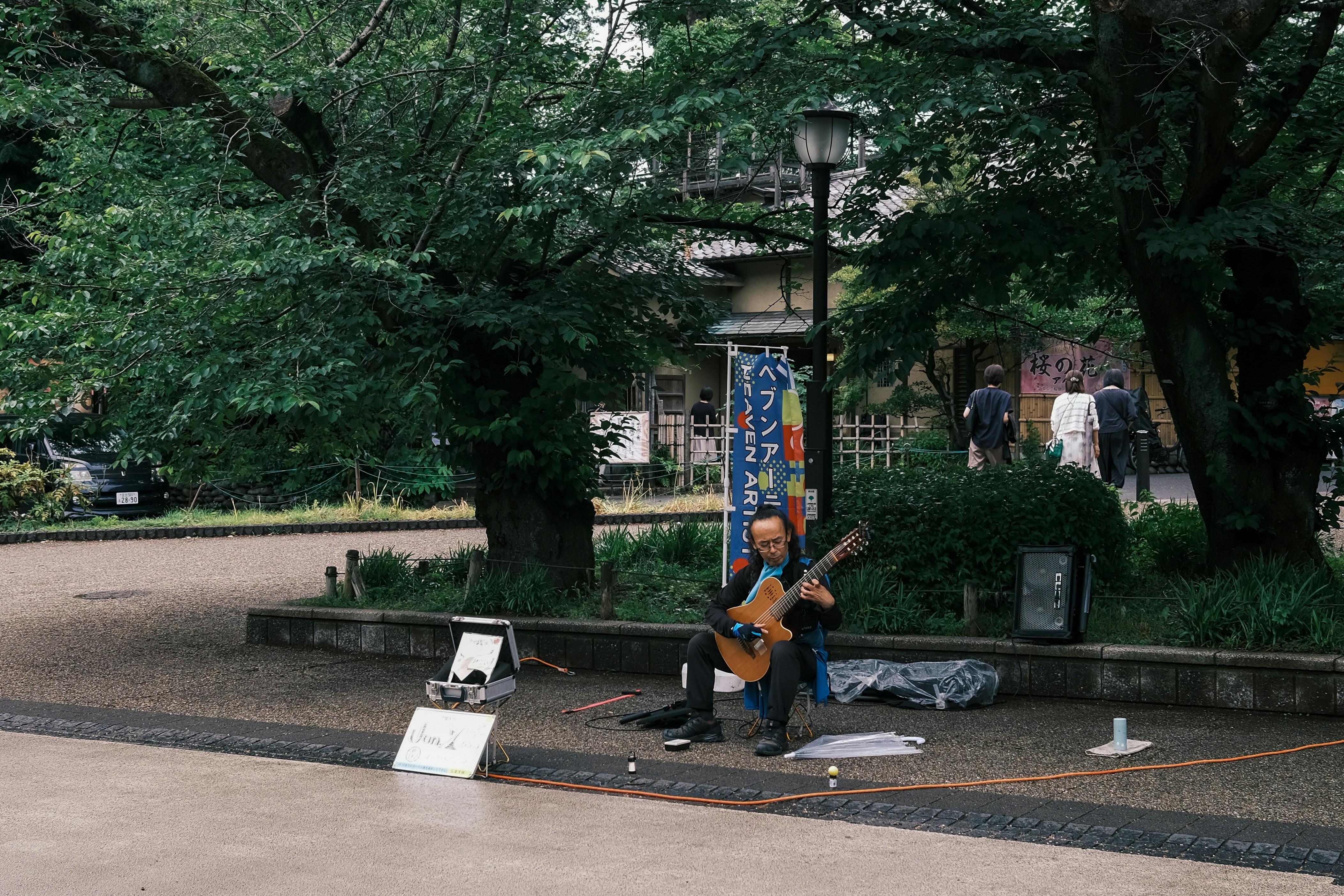 Guitarist Beneath Branches: Street Corner Serenade