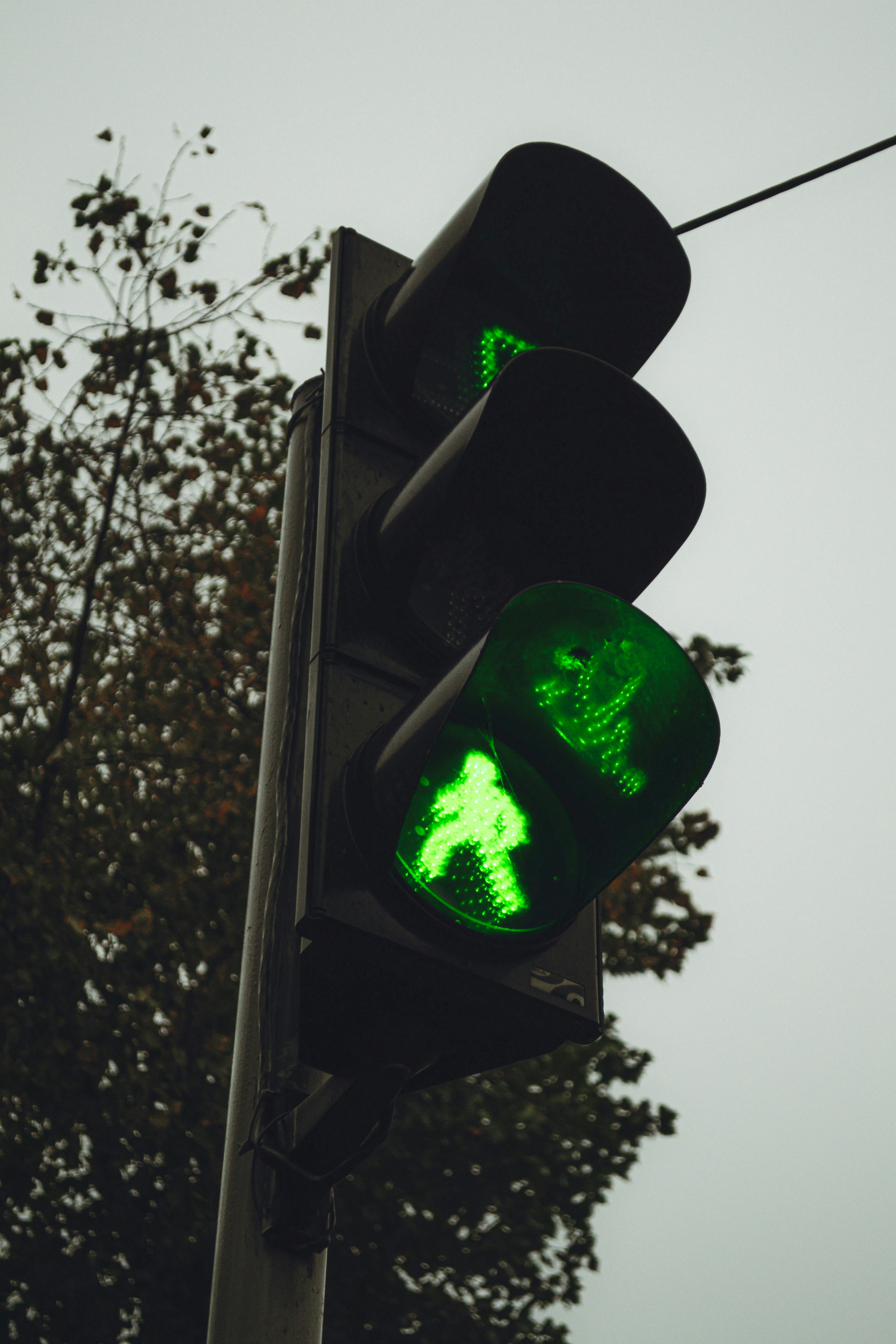 Green Walk Signal: A Tilted Pedestrian Crosswalk in Urban Nightlight