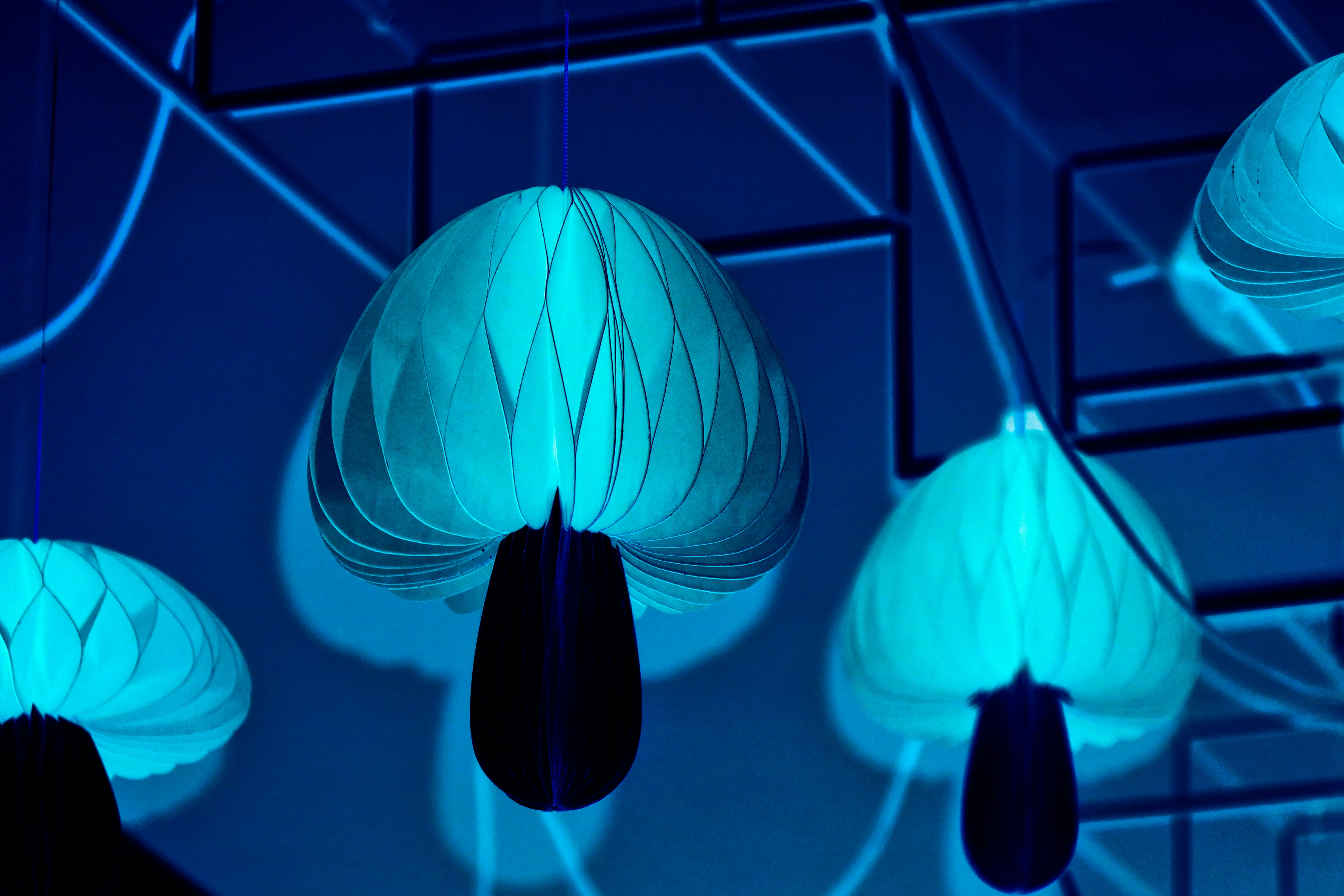 Blue Silk Orbs: Suspended Lanterns in Neon Gallery