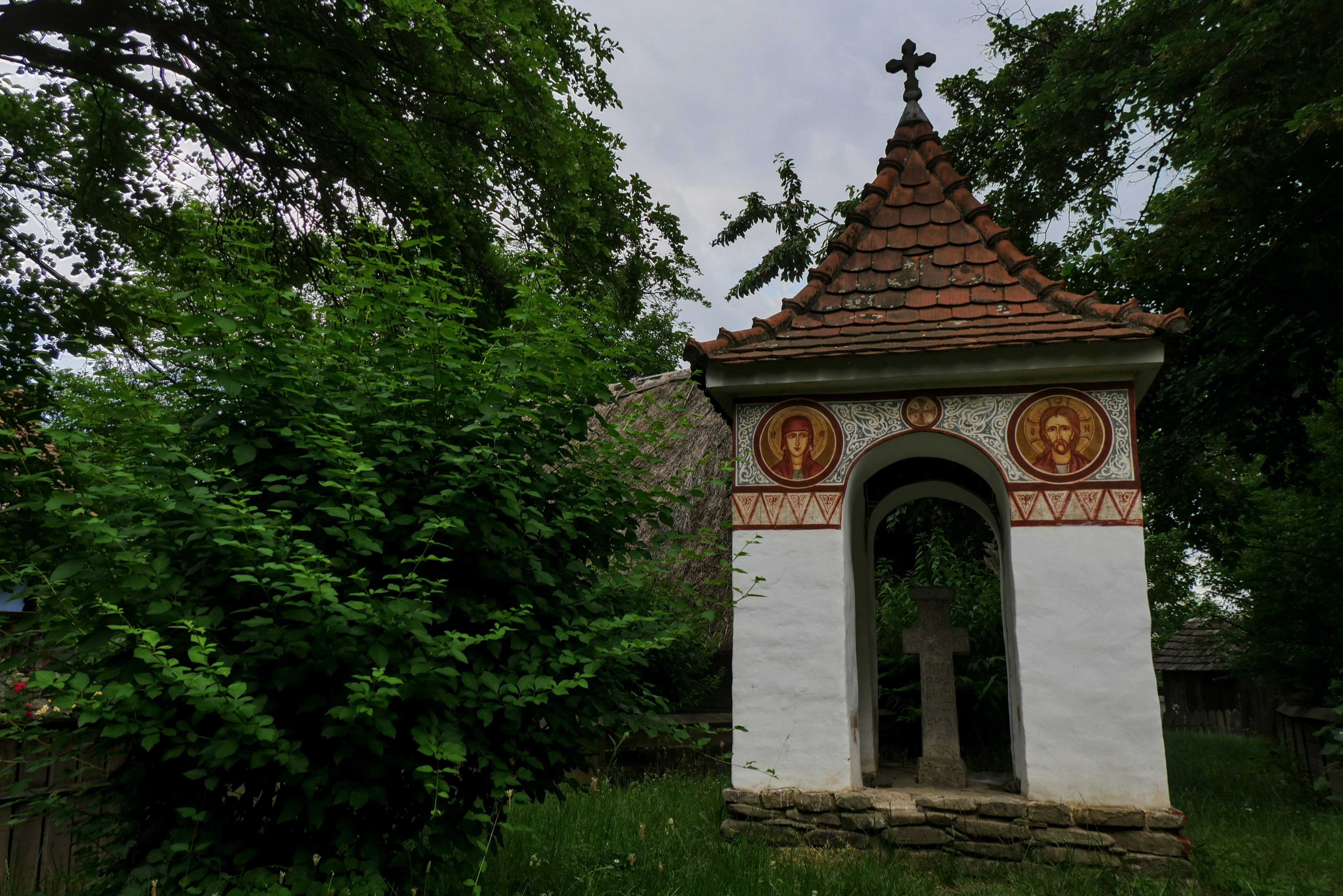 A Quiet Shrine Gate Framed by Verdant Surroundings