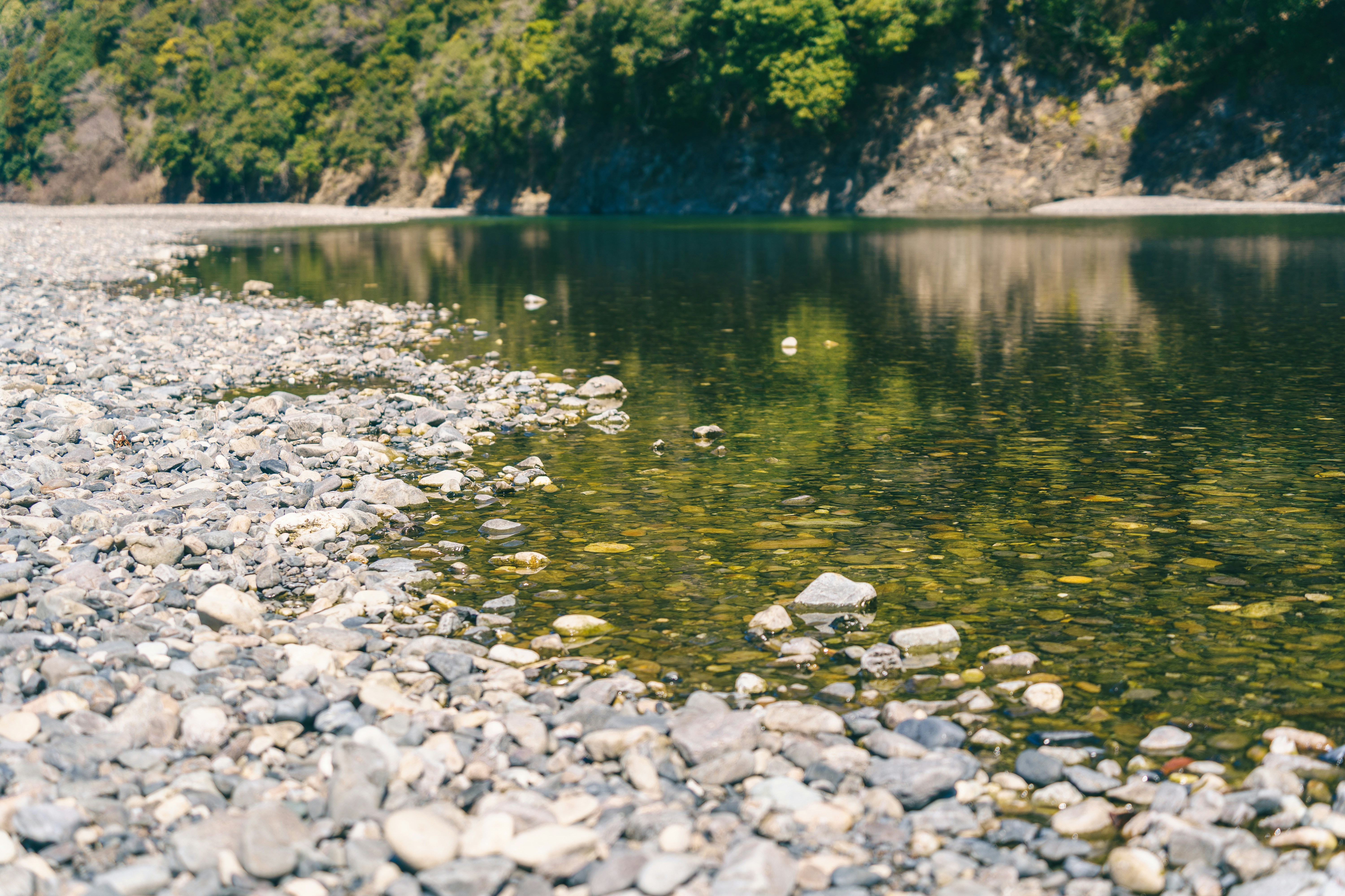 Pebble shoreline meeting emerald water under sunlit canopy
