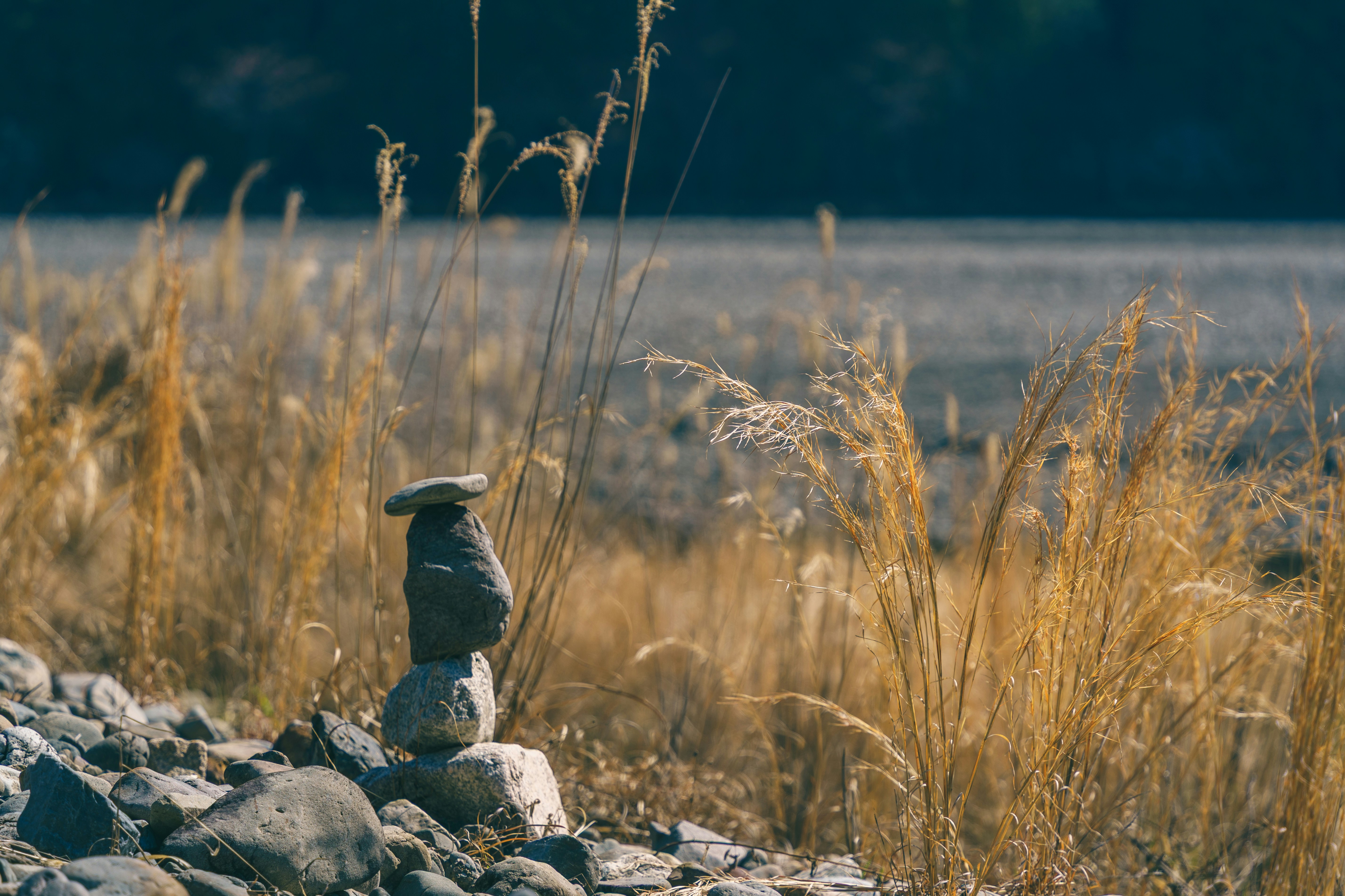 Balanced cairn by the shore: a quiet moment among sunlit stems