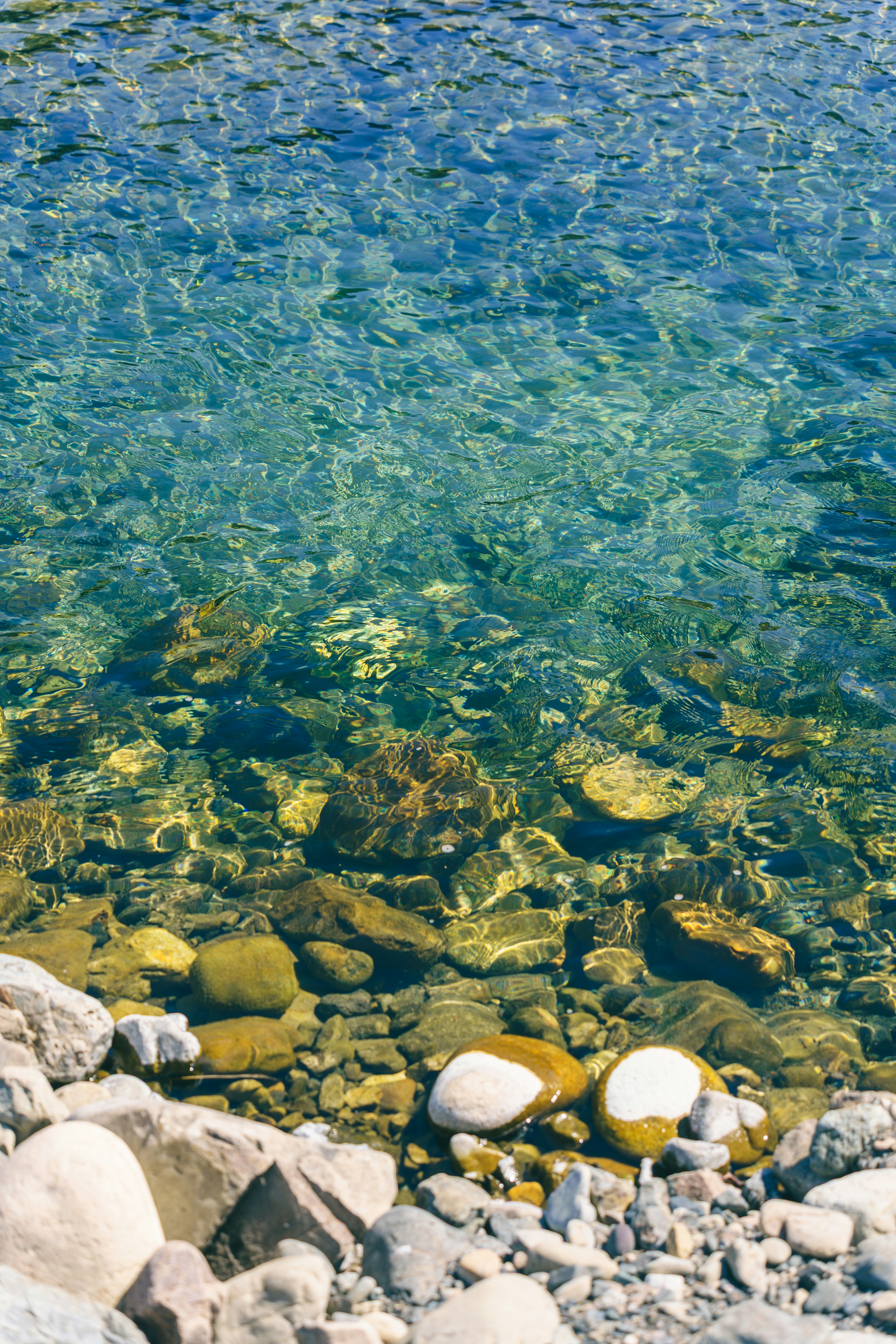 Clear Waters, Pebble Mosaic: A Quiet Shoreline Transition