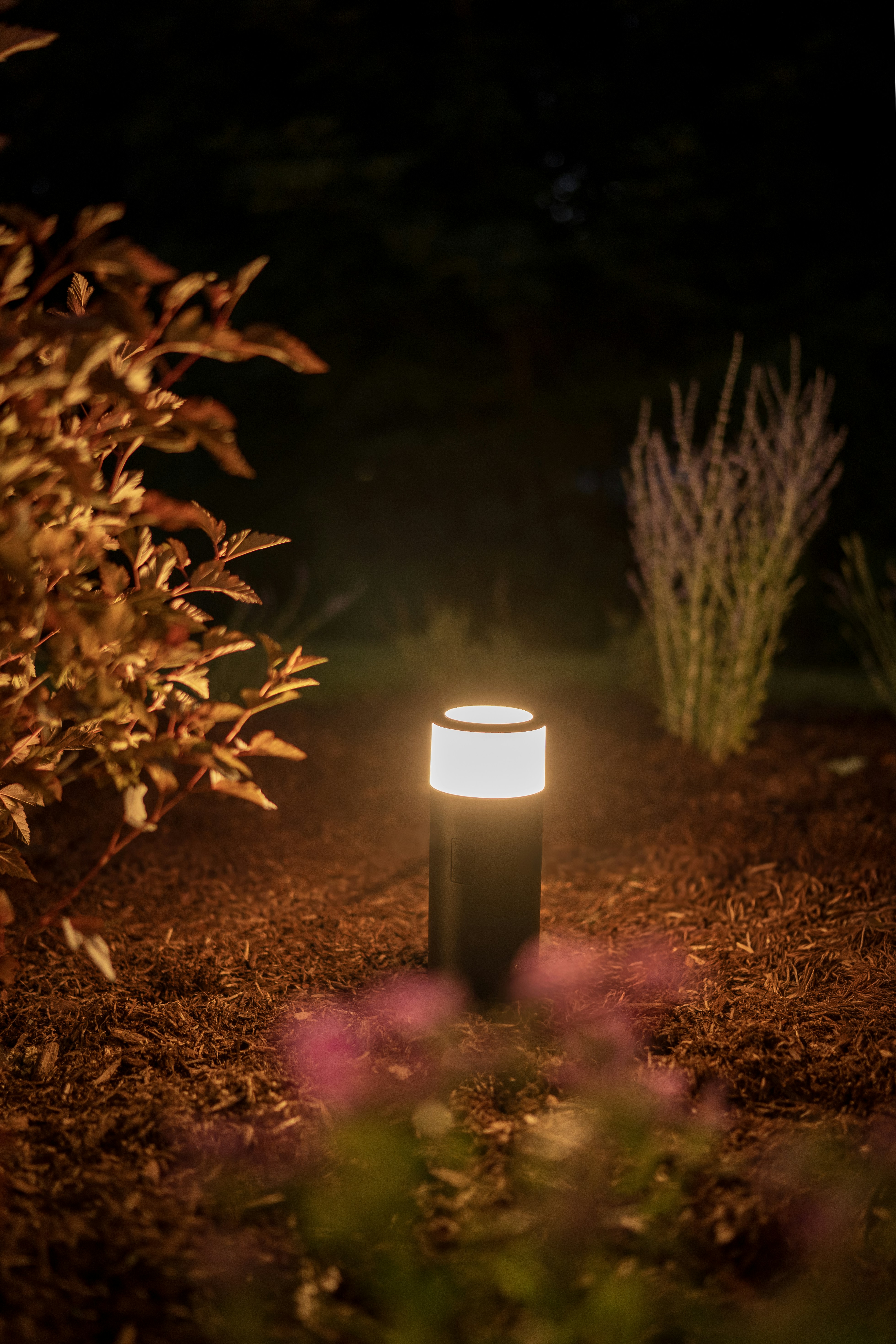 Glowing Garden Beacon Under Nightfall