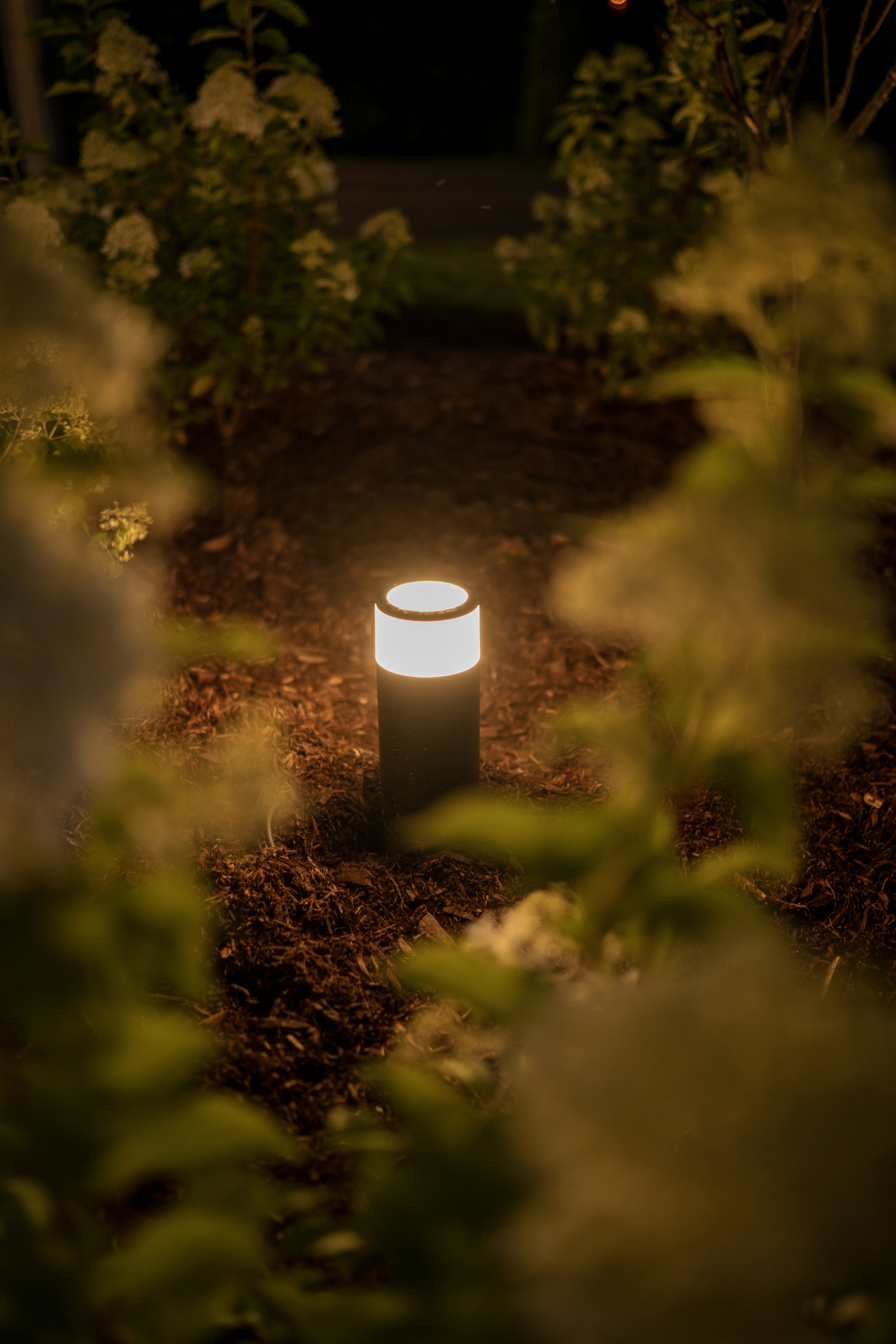 Lantern in the Garden: Quiet Night Light Between Plants
